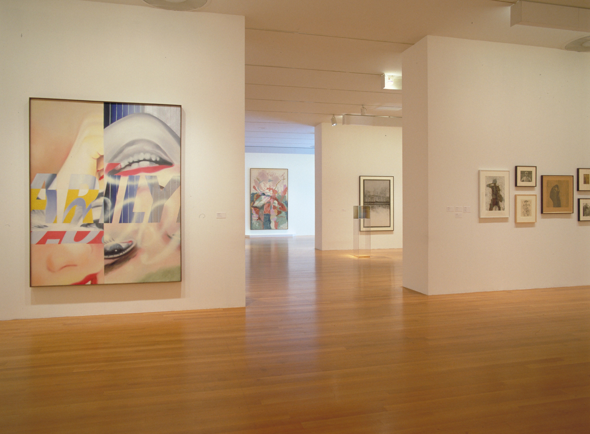 Installation view of the exhibition "Seeing Double," in the series ...