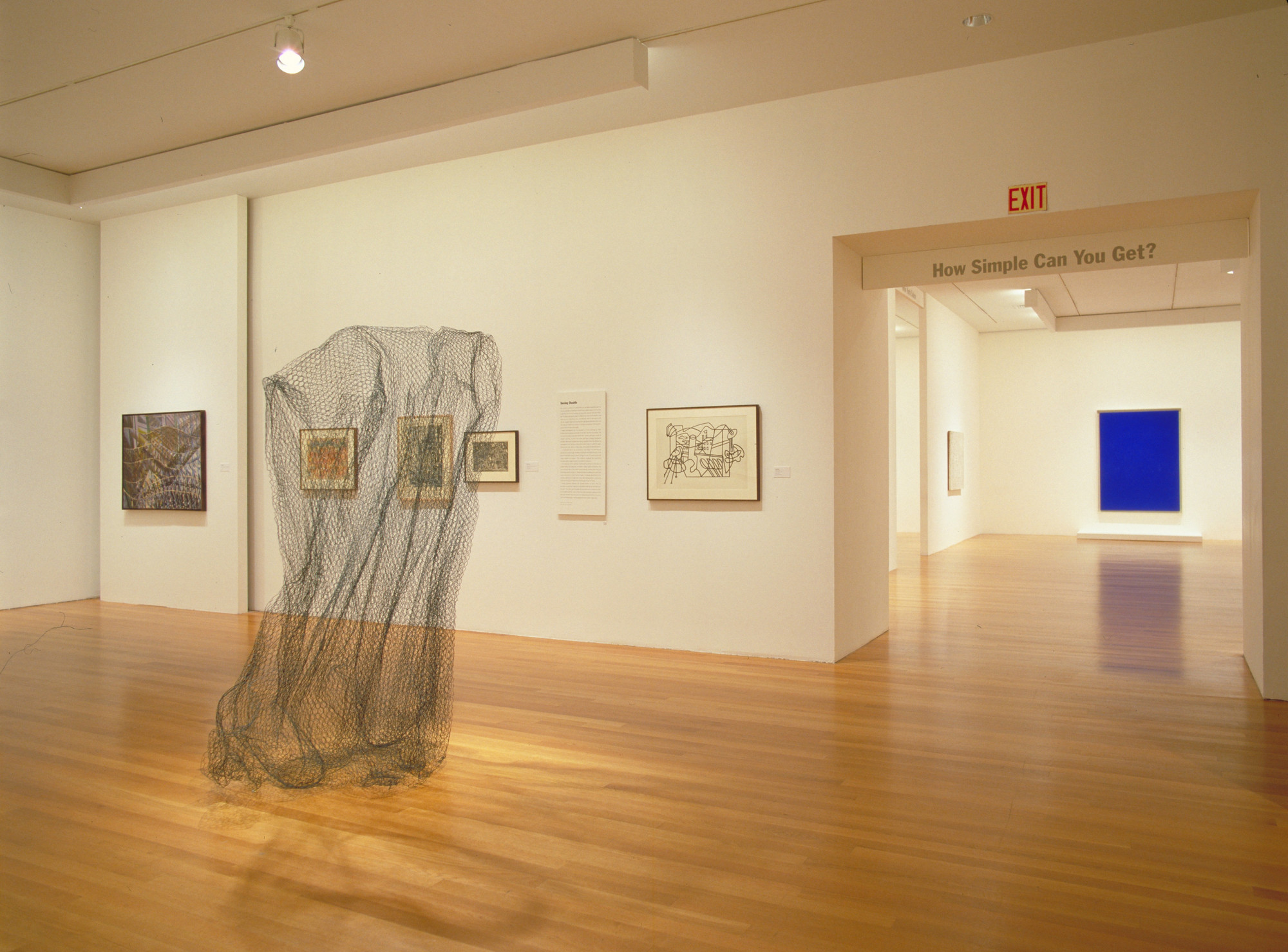 Installation view of the exhibition "Seeing Double," in the series ...