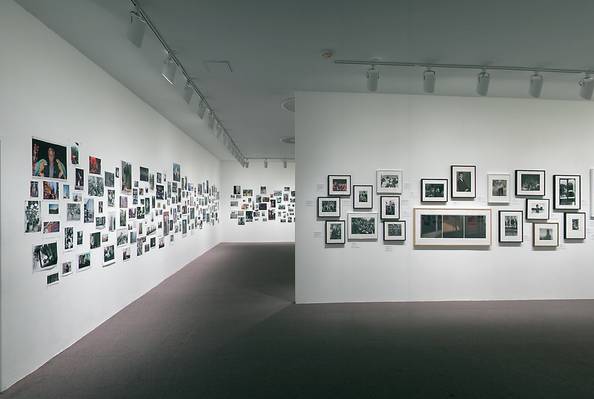 Merry Alpern. Untitled. 1994 | MoMA