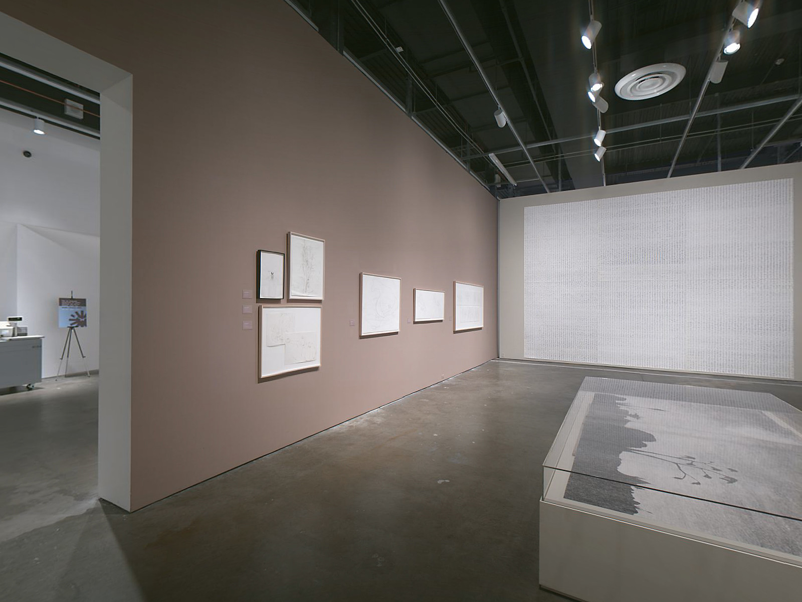 Installation view of the exhibition "Drawing Now: Eight Propositions ...