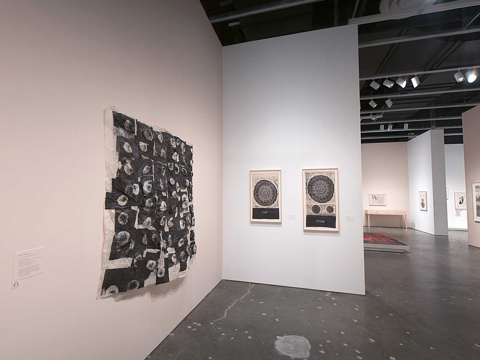 Installation view of the exhibition "Kiki Smith: Prints, Books & Things ...