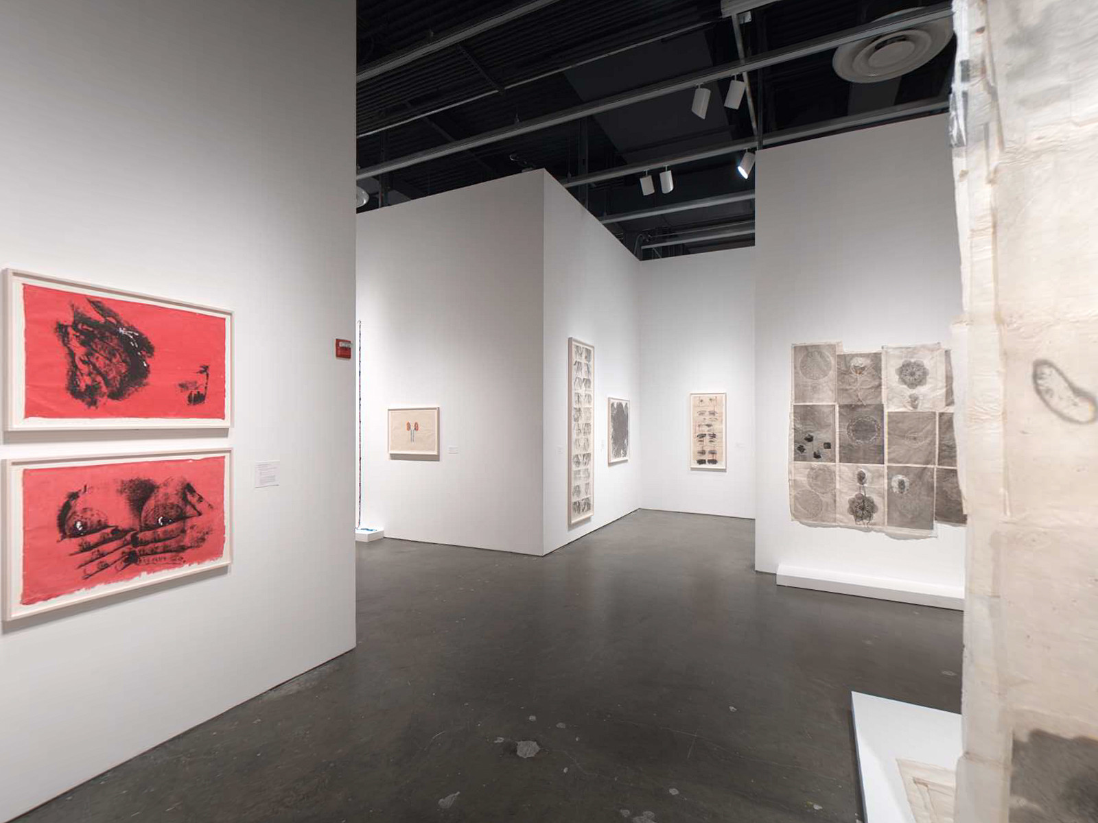 Installation view of the exhibition "Kiki Smith: Prints, Books & Things ...