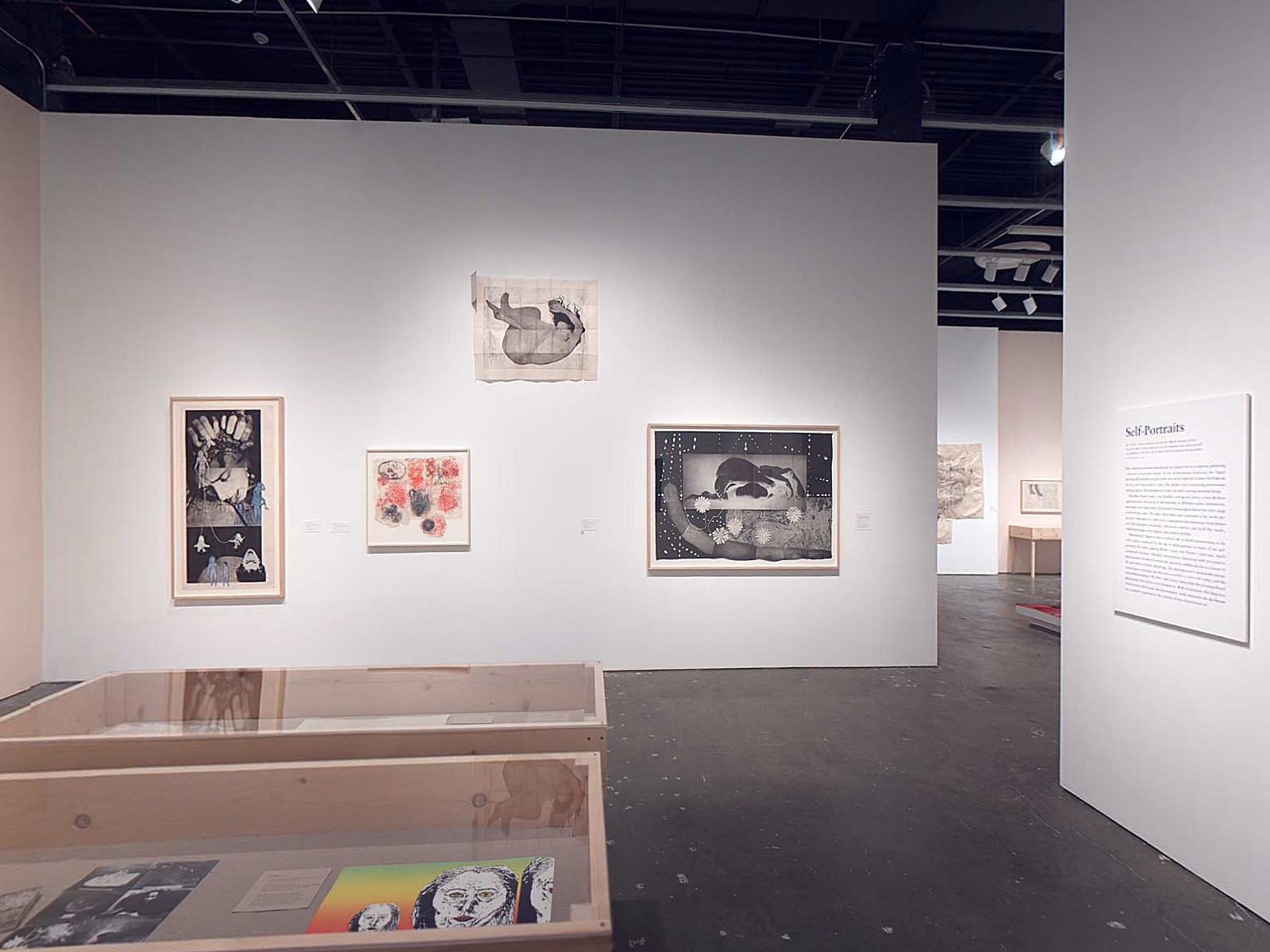 Installation view of the exhibition "Kiki Smith: Prints, Books & Things ...