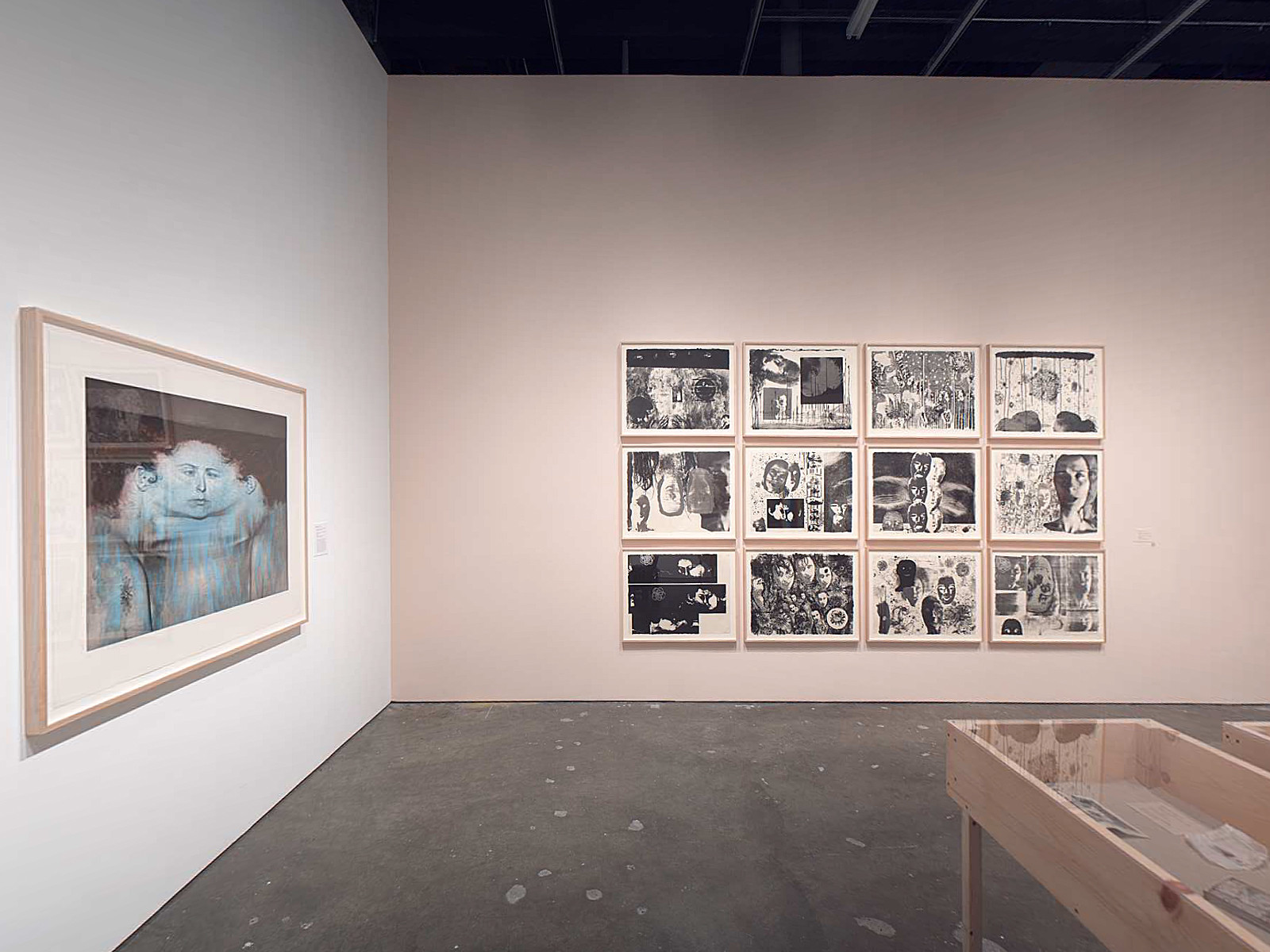Installation view of the exhibition "Kiki Smith: Prints, Books & Things ...