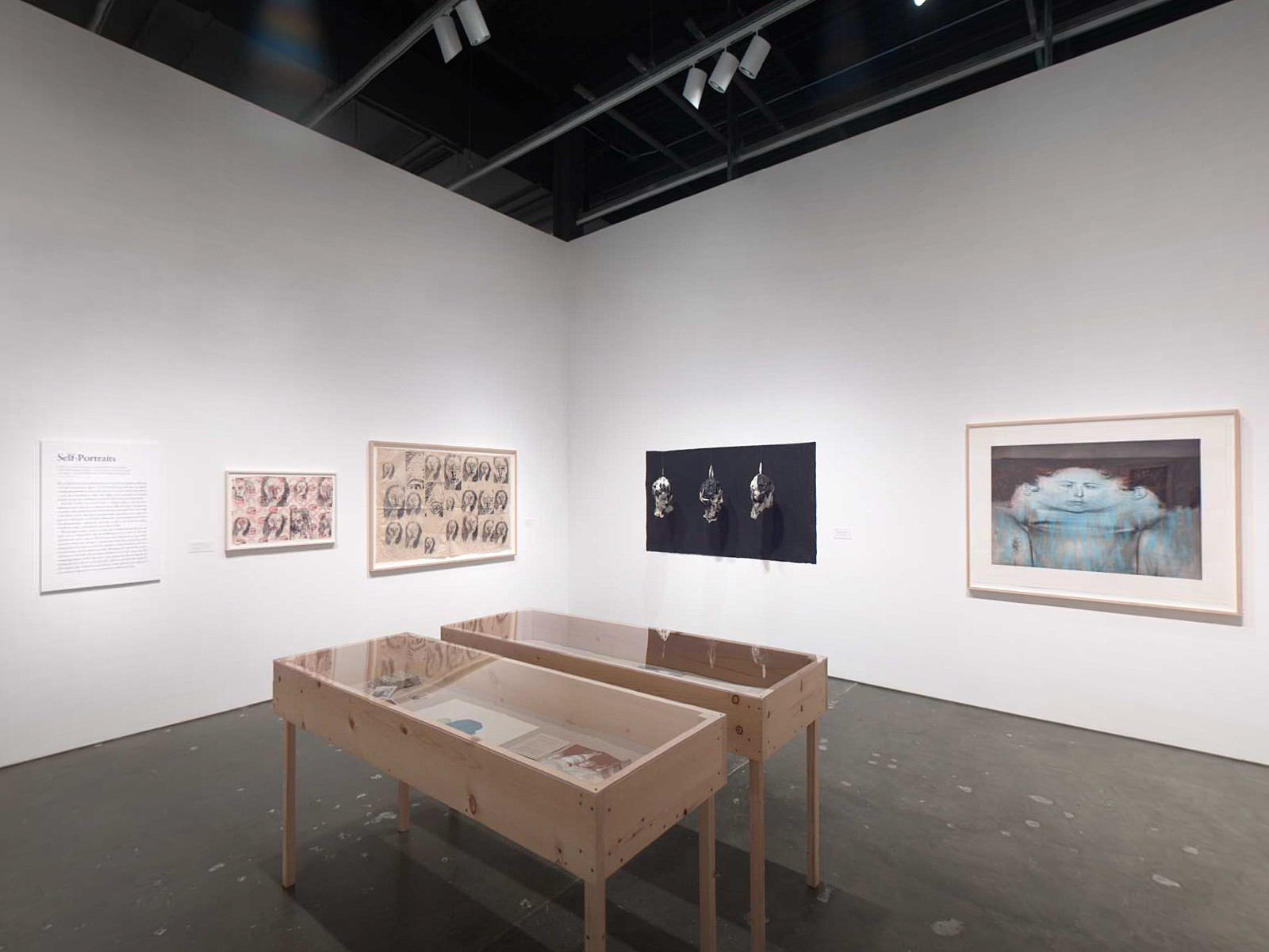 Installation view of the exhibition "Kiki Smith: Prints, Books & Things ...