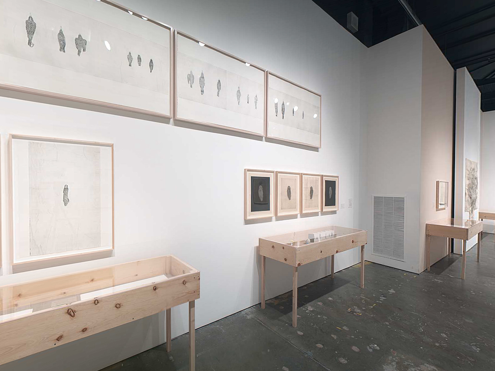 Installation view of the exhibition "Kiki Smith: Prints, Books & Things ...