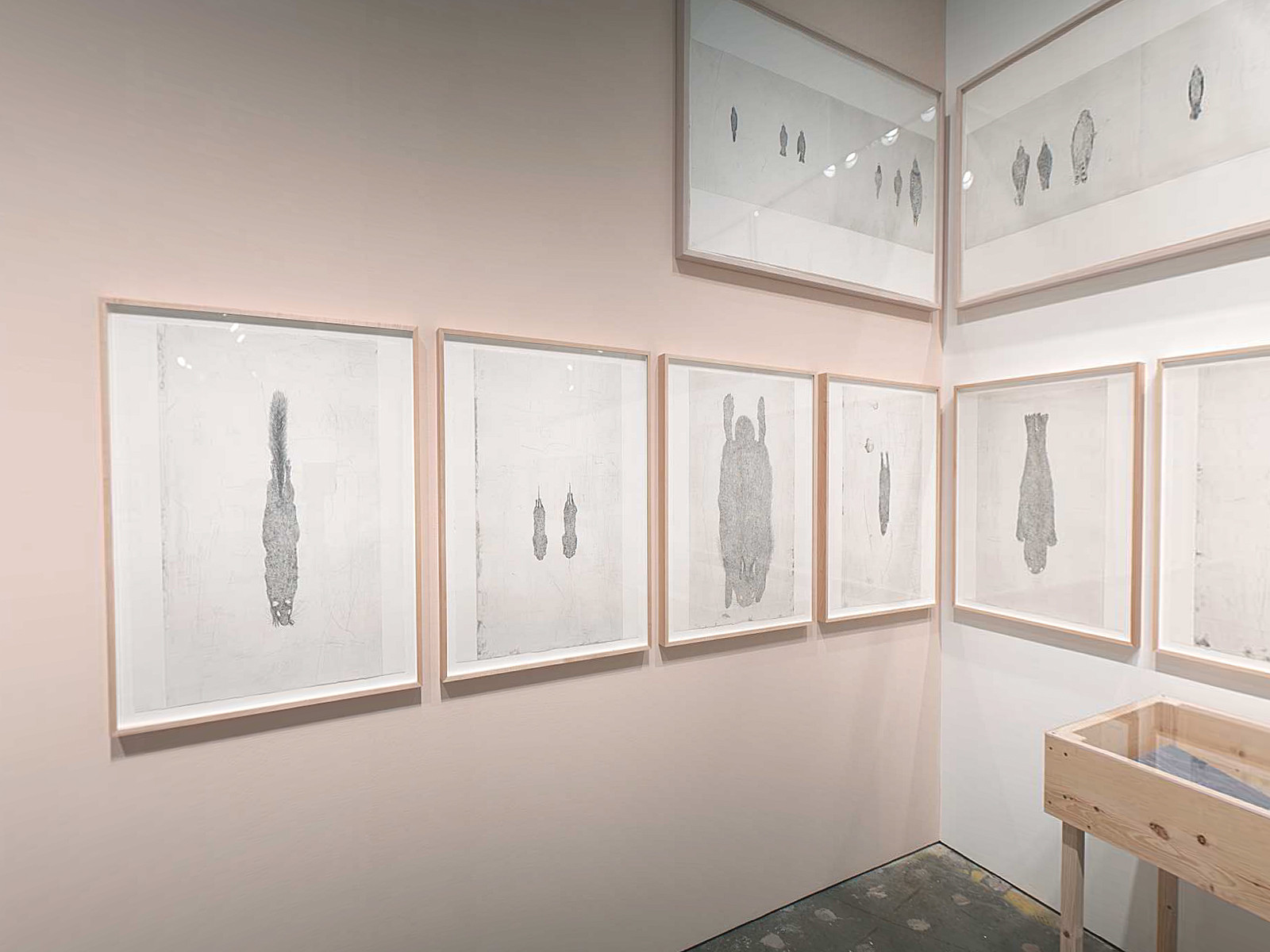 Installation view of the exhibition "Kiki Smith: Prints, Books & Things ...