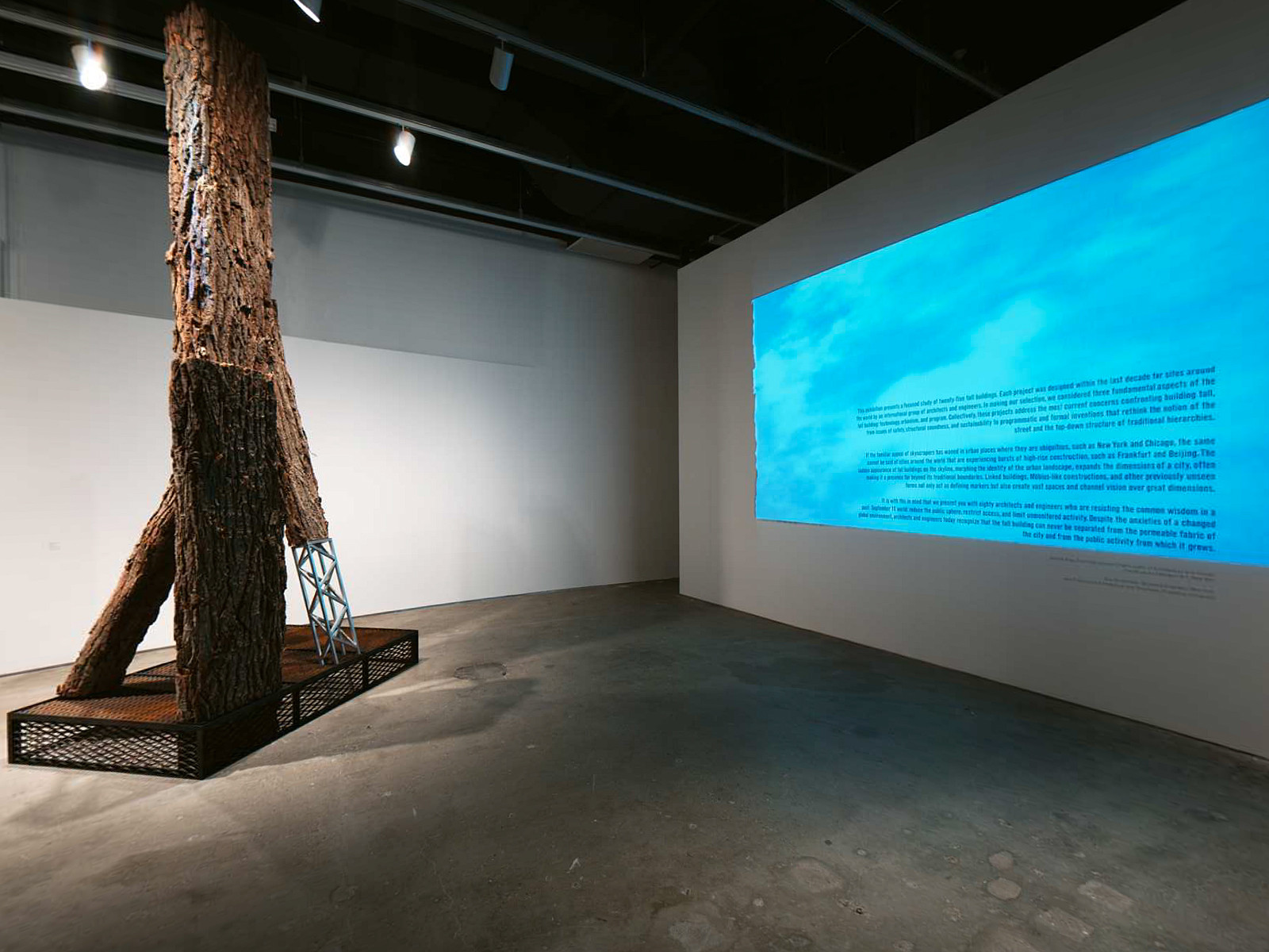Installation view of the exhibition "Tall Buildings" | MoMA
