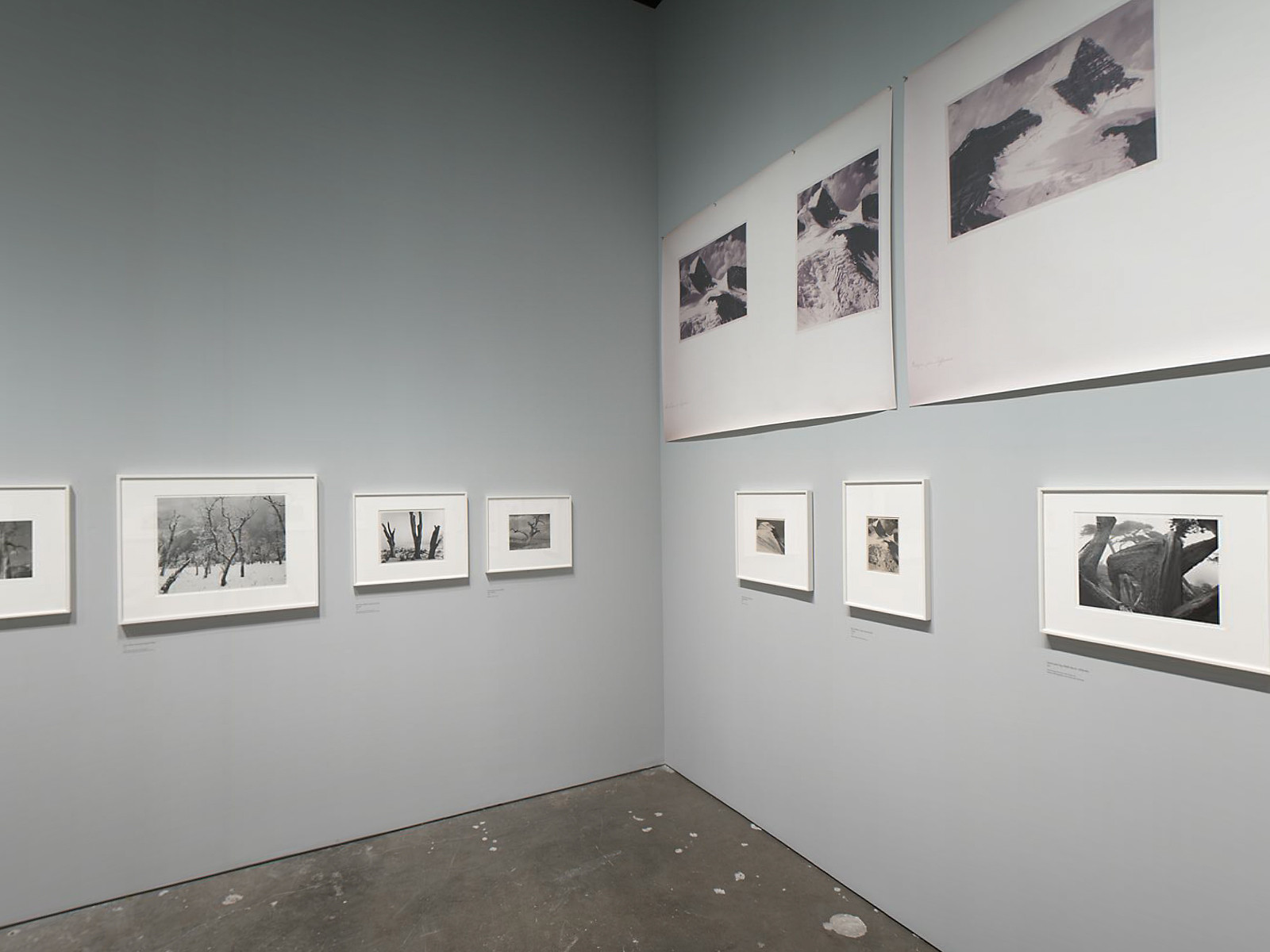 Installation view of the exhibition "Ansel Adams at 100" | MoMA