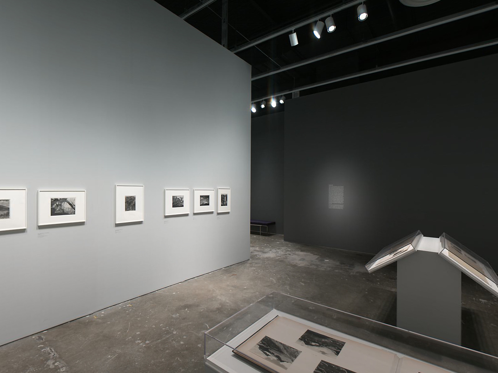 Installation view of the exhibition "Ansel Adams at 100" | MoMA