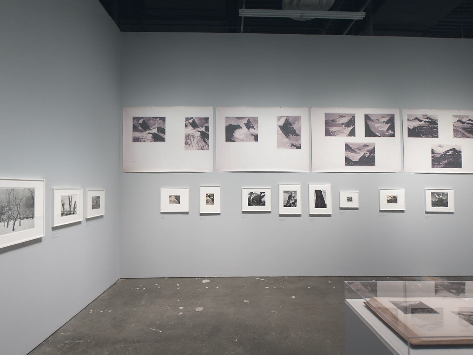 Installation view of the exhibition "Ansel Adams at 100" | MoMA