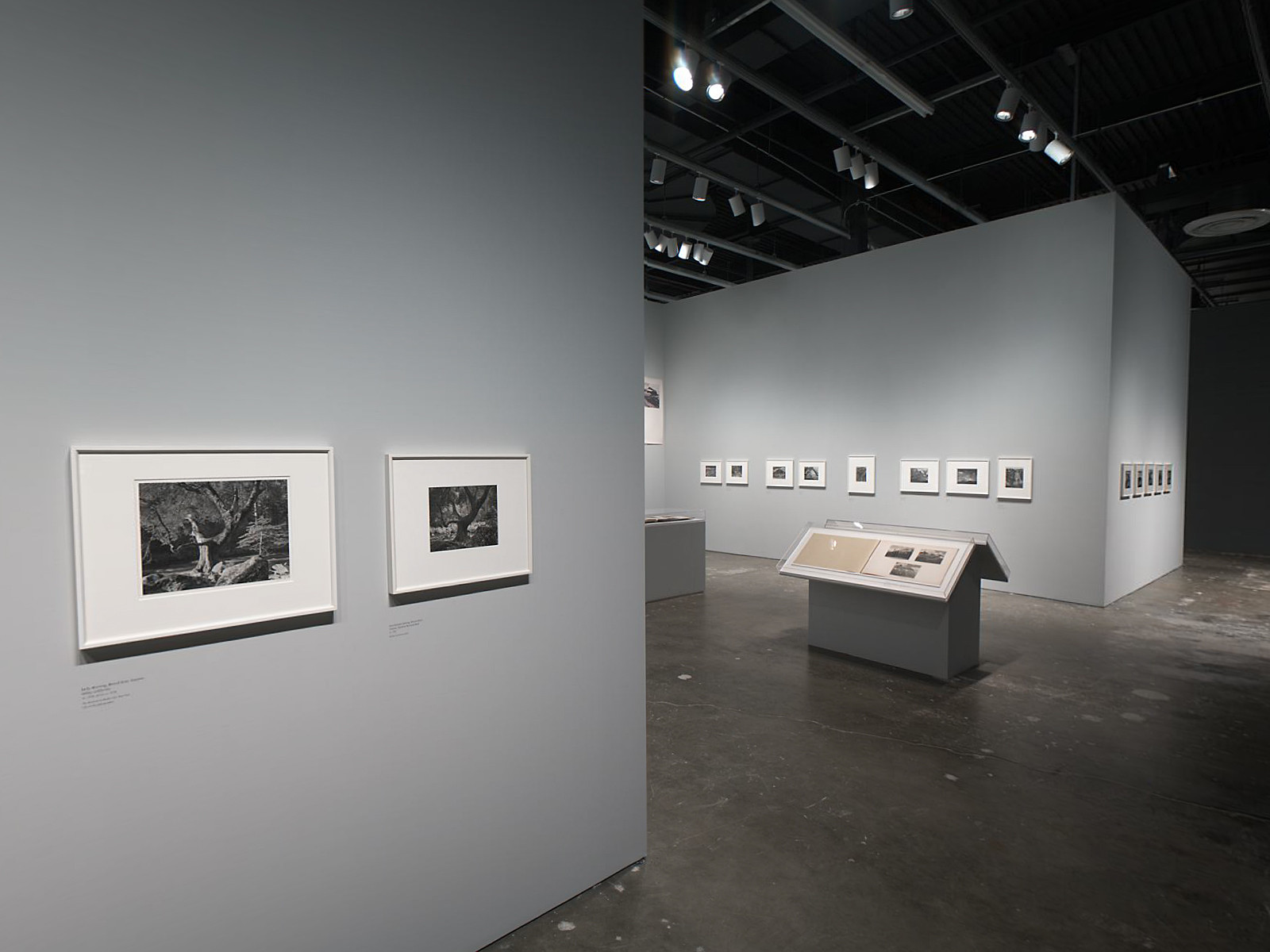 Installation view of the exhibition "Ansel Adams at 100" | MoMA