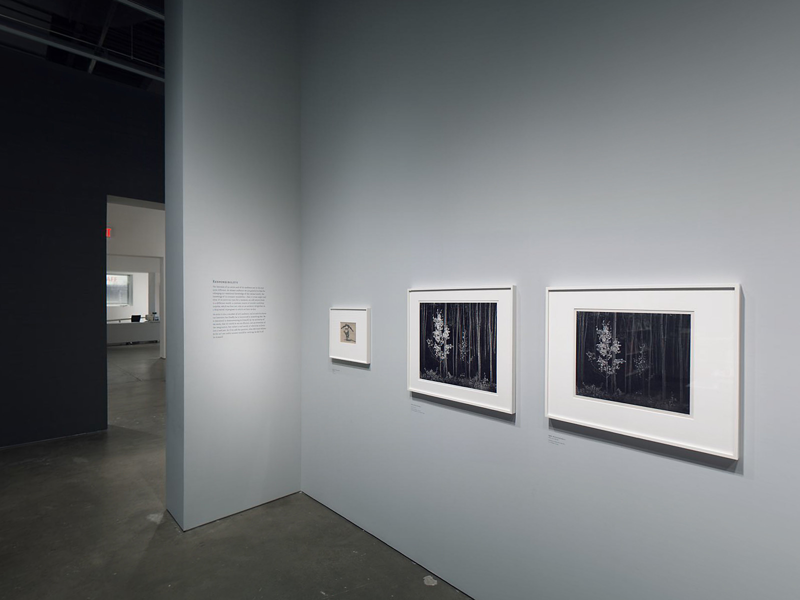 Installation view of the exhibition "Ansel Adams at 100" | MoMA