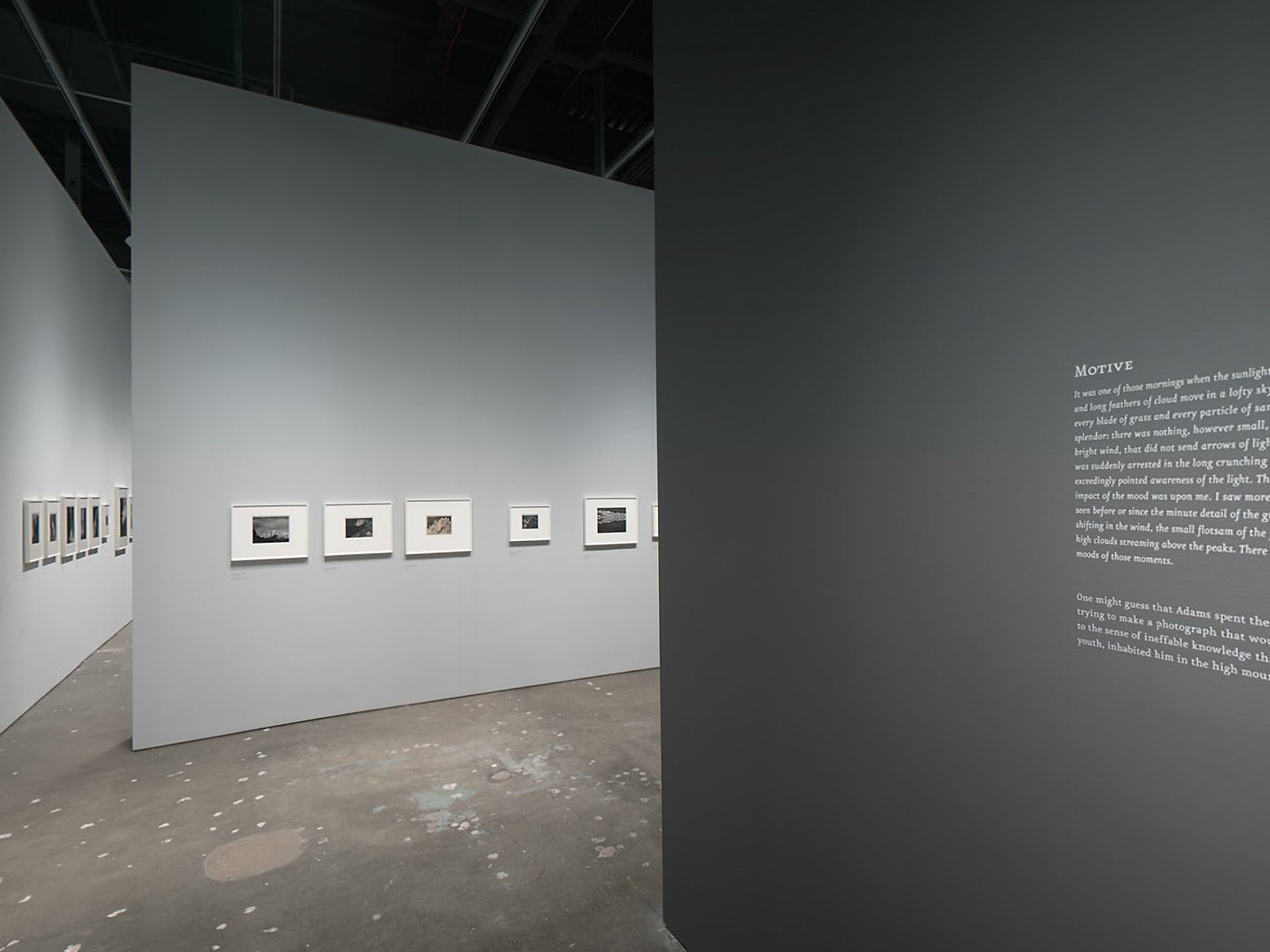 Installation view of the exhibition "Ansel Adams at 100" | MoMA