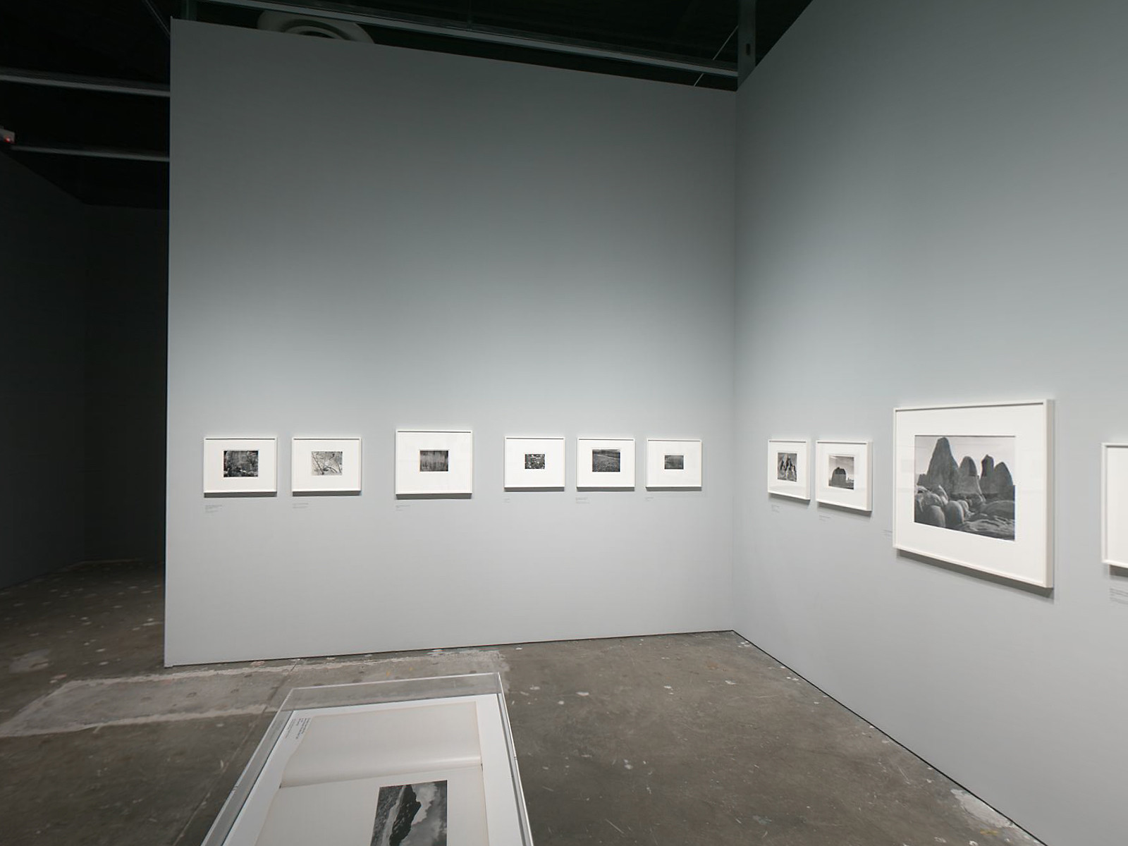 Installation view of the exhibition "Ansel Adams at 100" | MoMA