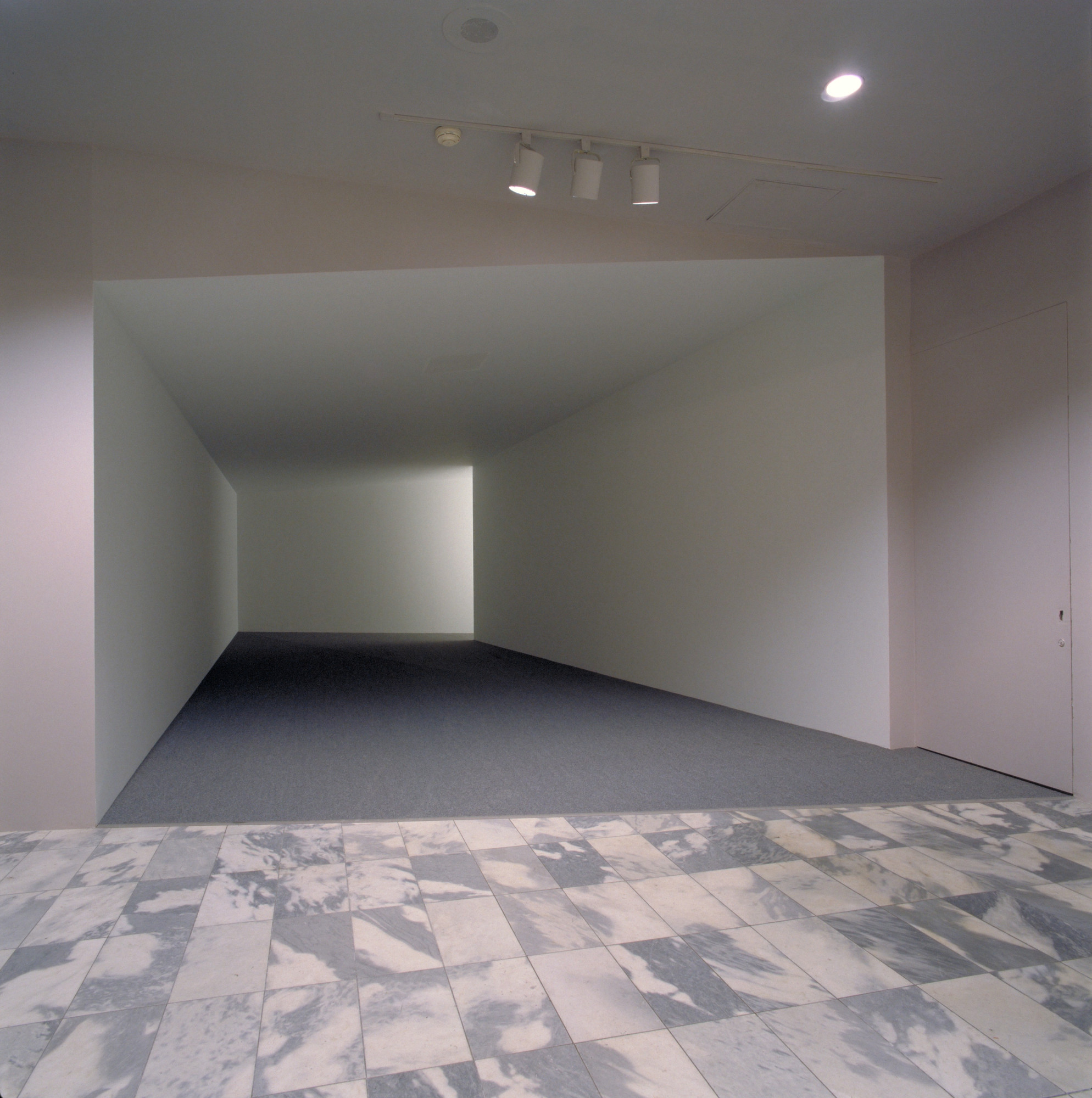 Installation view of the exhibition "Projects 74: Ricci Albenda" | MoMA