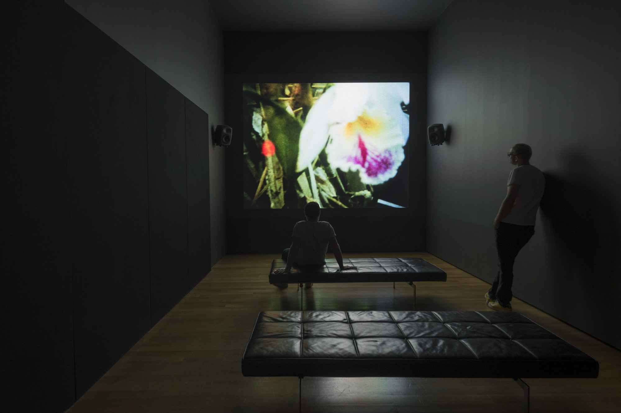 Installation view of the exhibition "Bruce Conner: It's All True" | MoMA