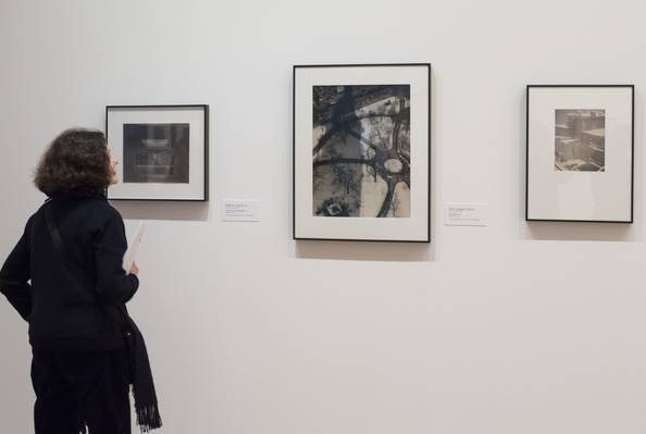 Alfred Stieglitz. From the Back Window at “291”. April 3, 1915 | MoMA