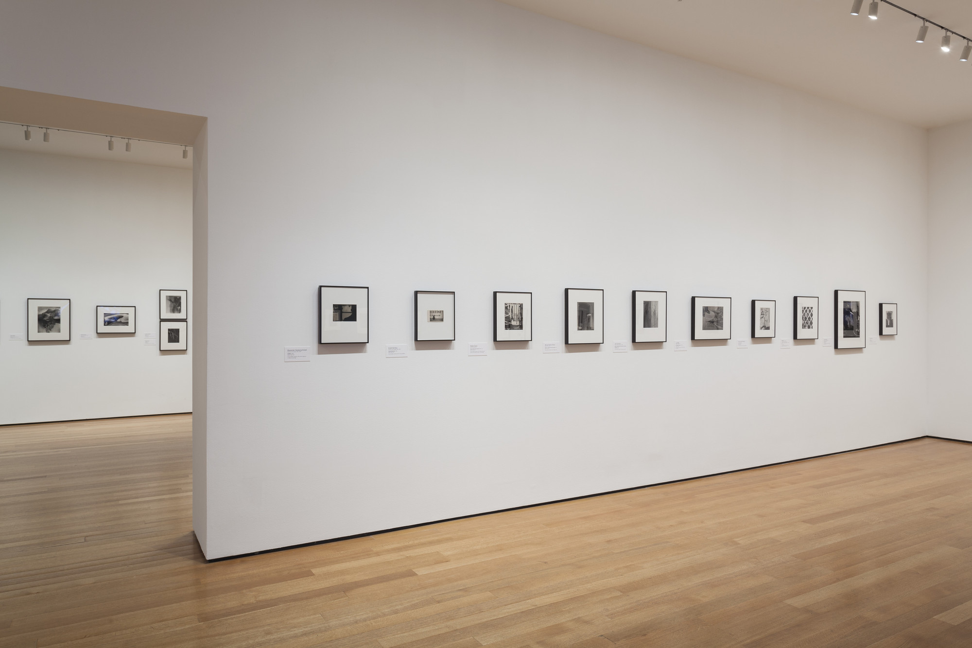Installation view of the exhibition "Modern Photographs from the Thomas ...