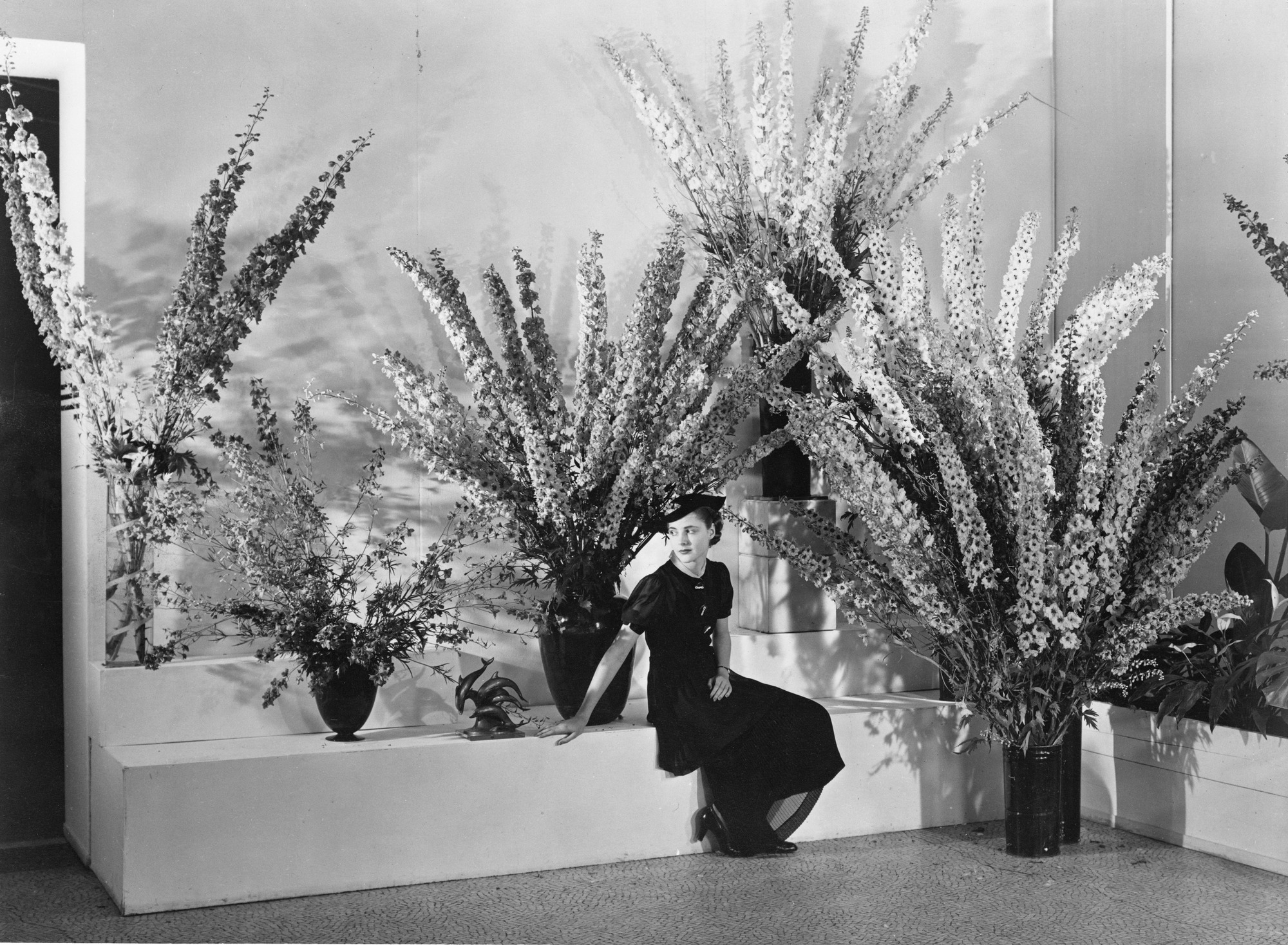 Edward Steichen's Delphiniums | MoMA
