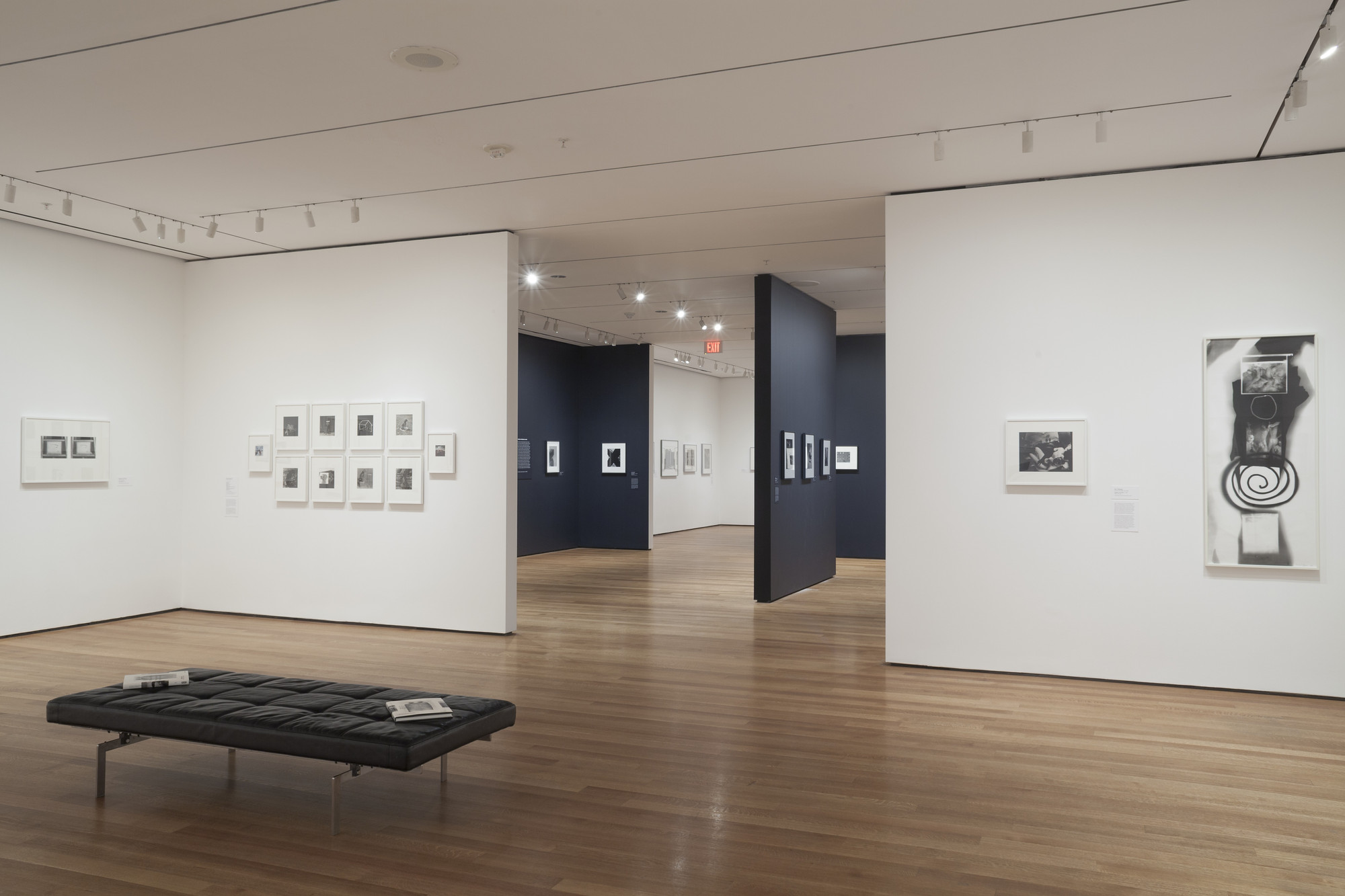 Installation view of the exhibition "The Shape of Things: Photographs ...
