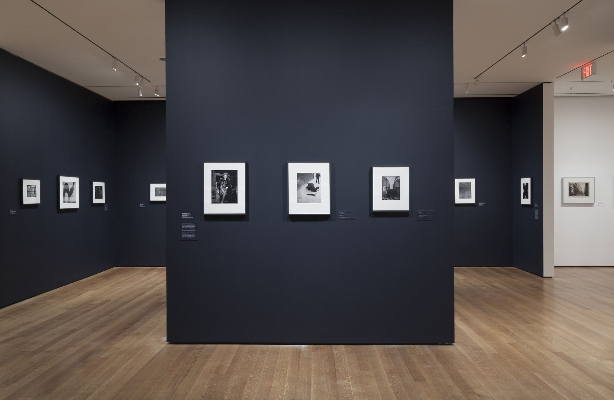 Installation view of the exhibition "The Shape of Things: Photographs ...