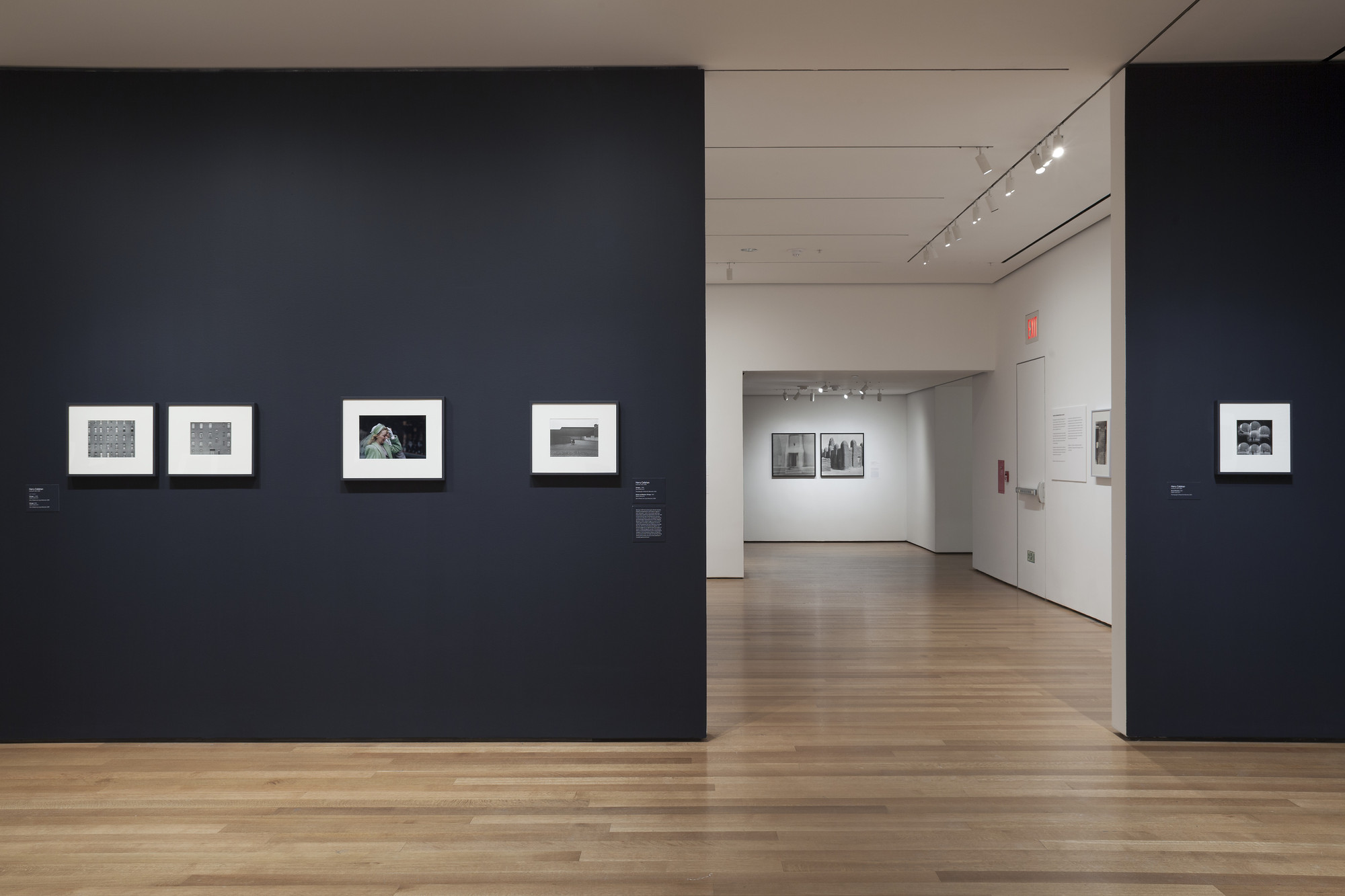 Installation view of the exhibition "The Shape of Things: Photographs ...