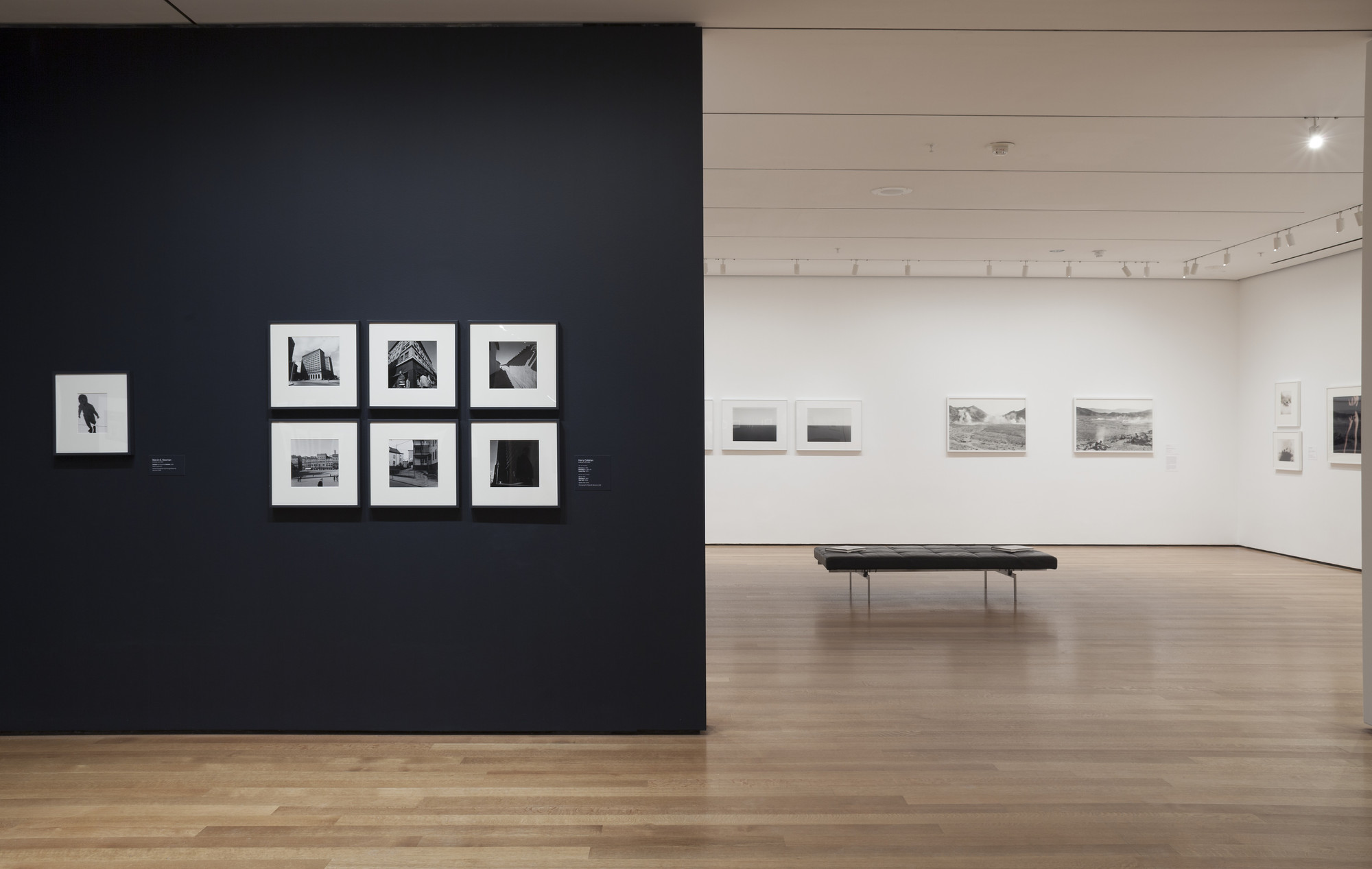 Installation view of the exhibition "The Shape of Things: Photographs ...