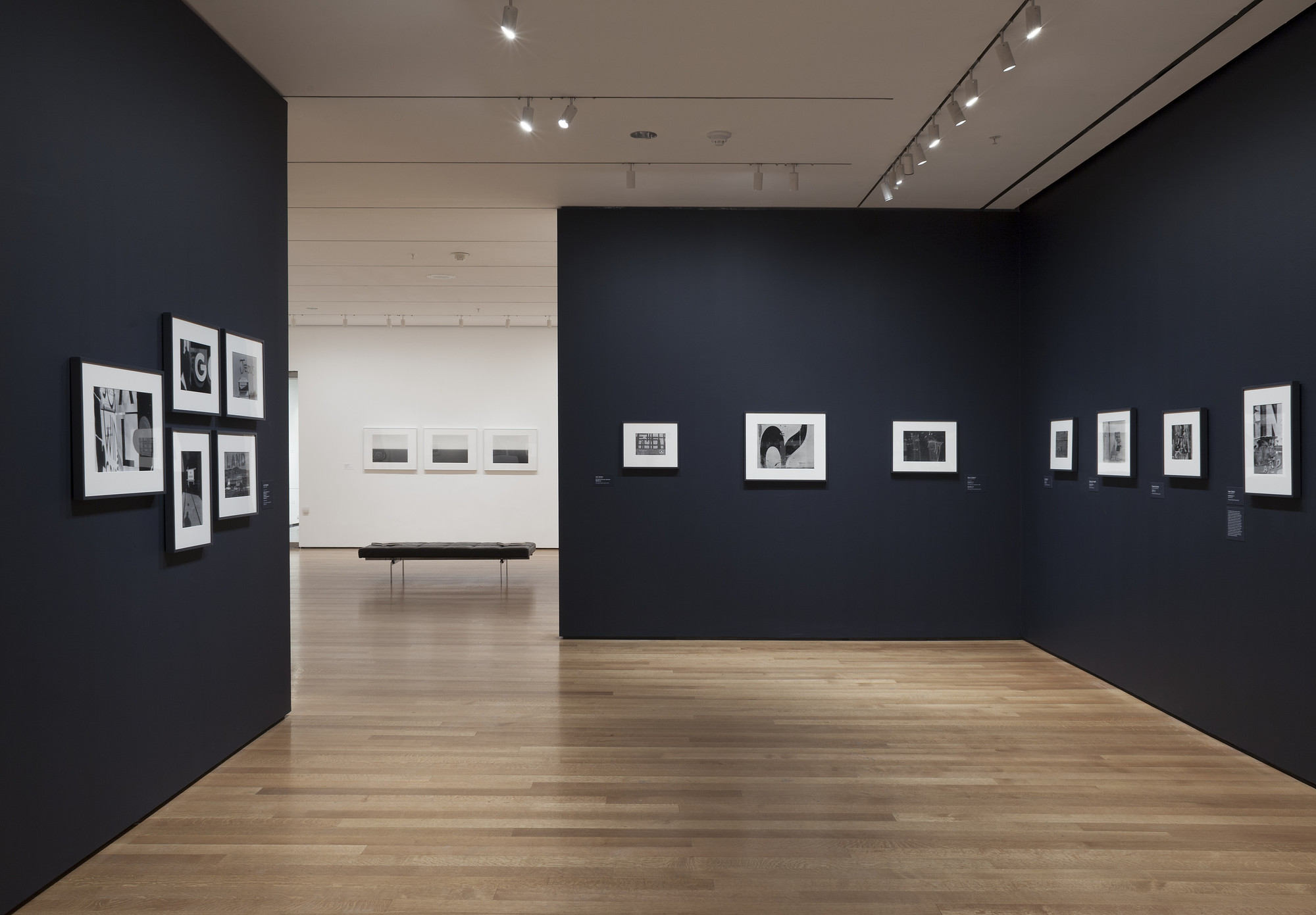 Installation view of the exhibition "The Shape of Things: Photographs ...