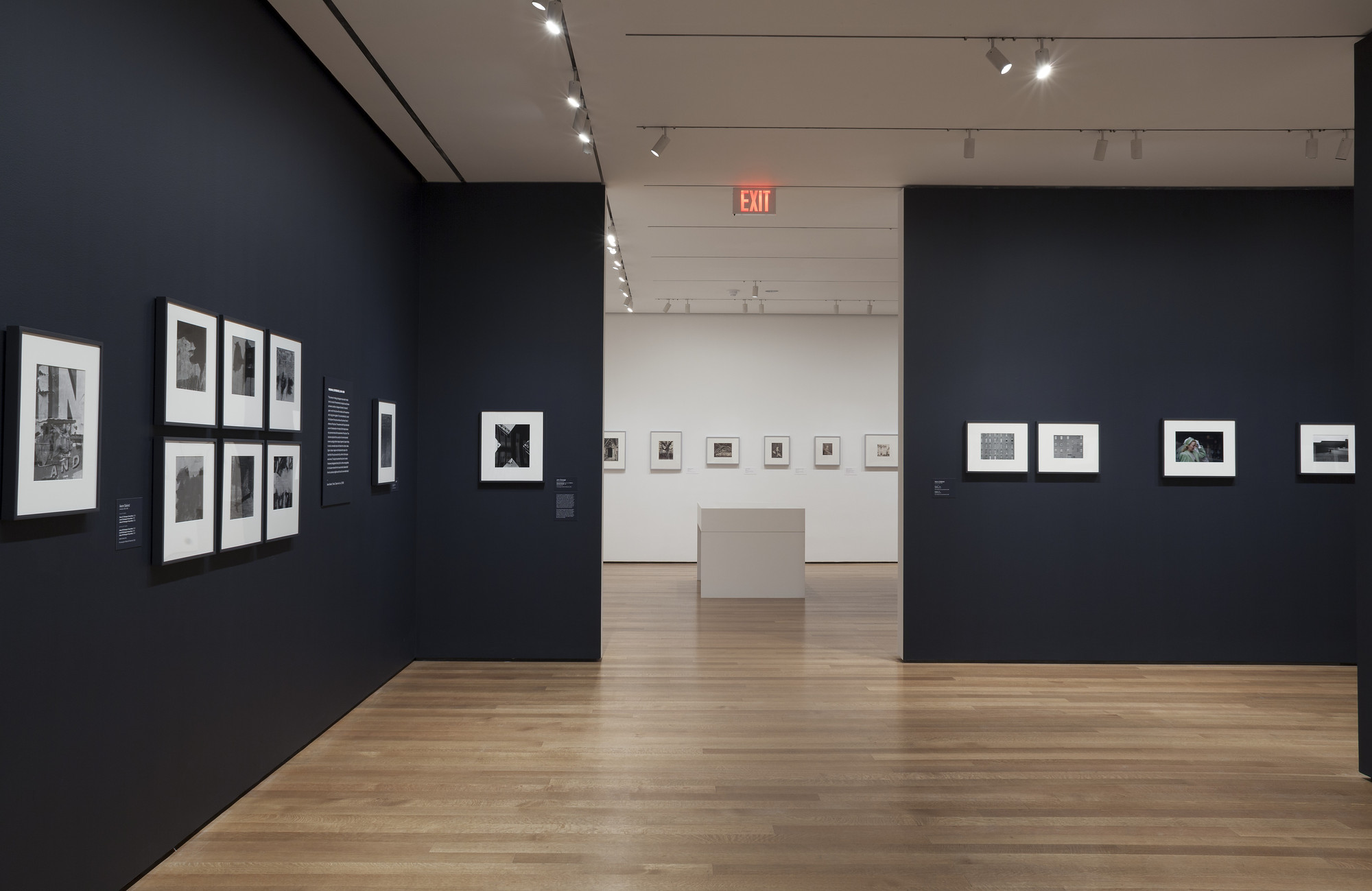Installation view of the exhibition "The Shape of Things: Photographs ...