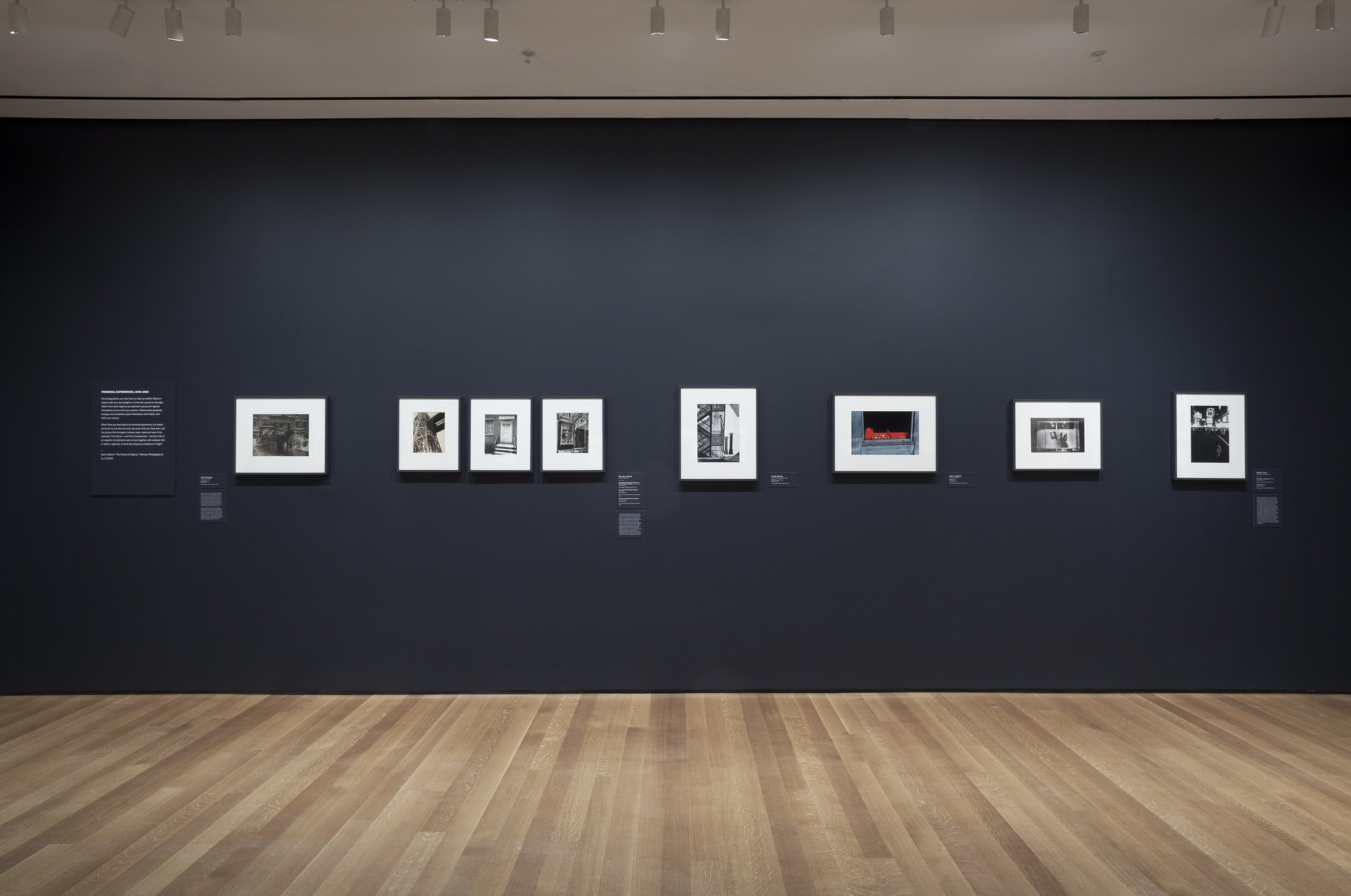 Installation view of the exhibition "The Shape of Things: Photographs ...
