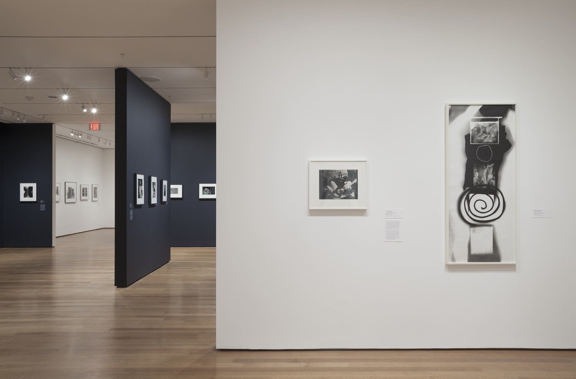 Installation view of the exhibition "The Shape of Things: Photographs ...