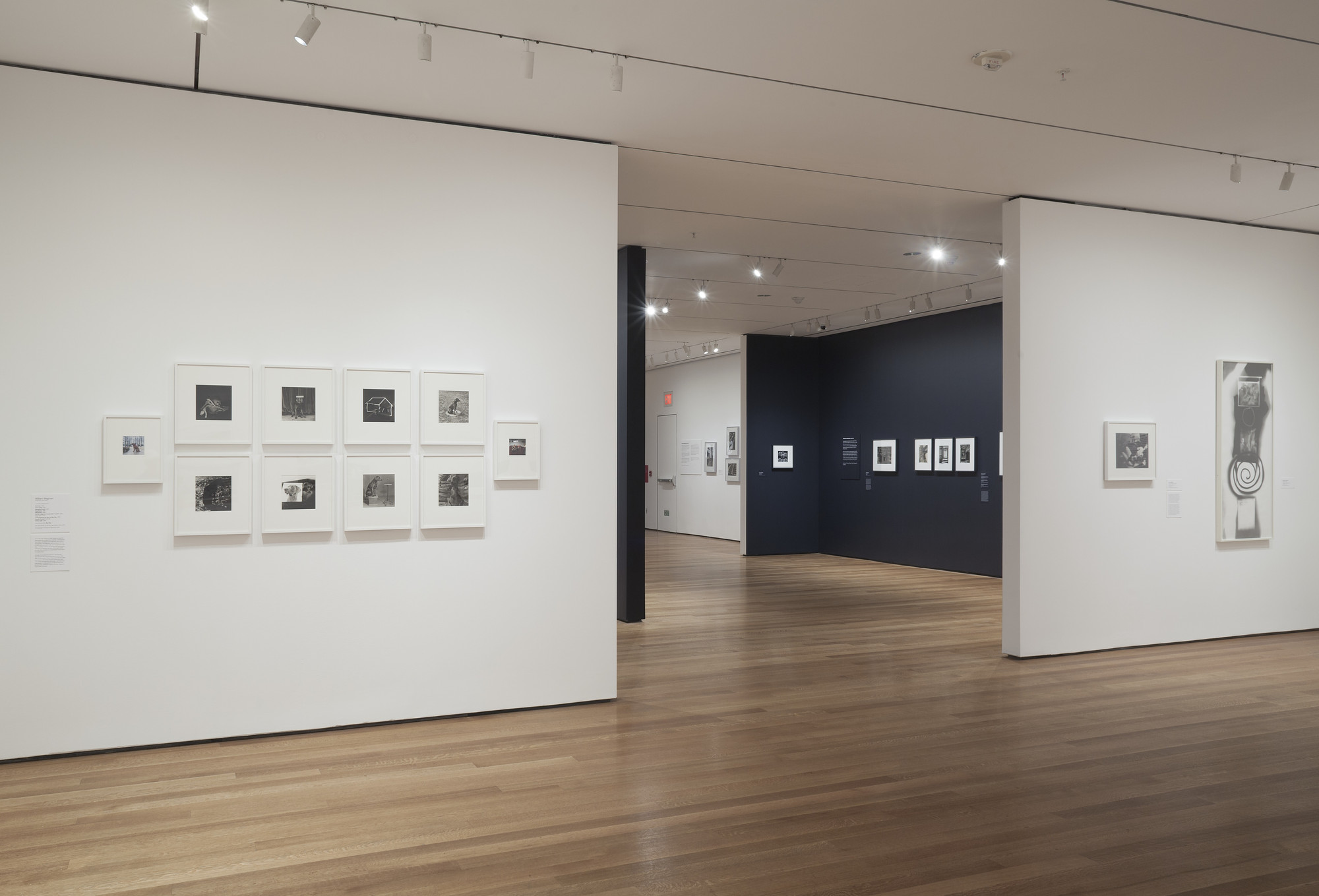 Installation view of the exhibition "The Shape of Things: Photographs ...