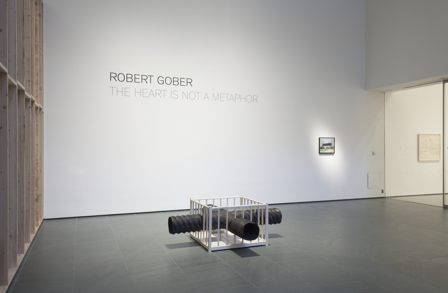 Robert Gober: The Heart Is Not a Metaphor | MoMA