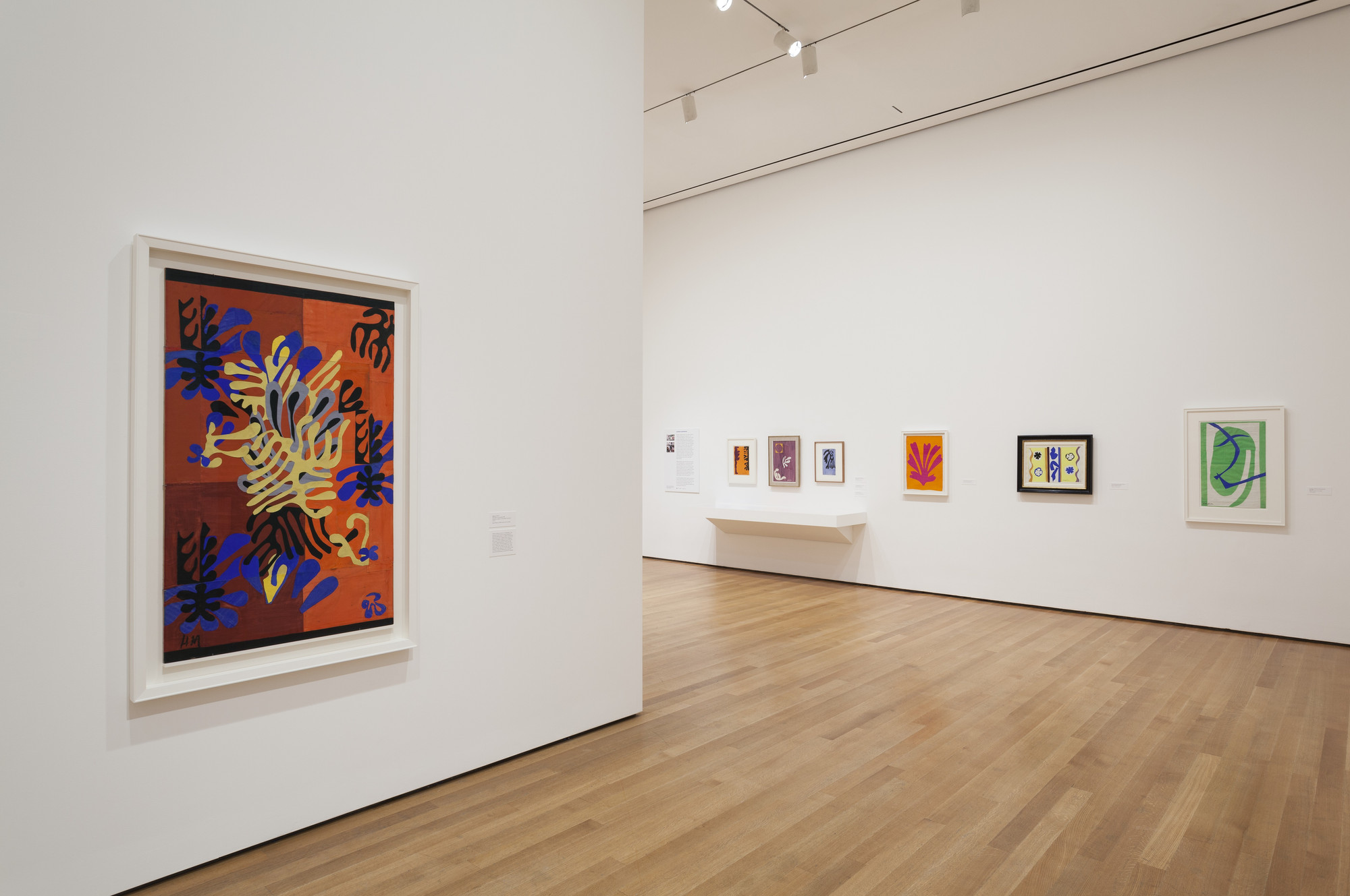 Installation view of the exhibition "Henri Matisse: The Cut-Outs" | MoMA