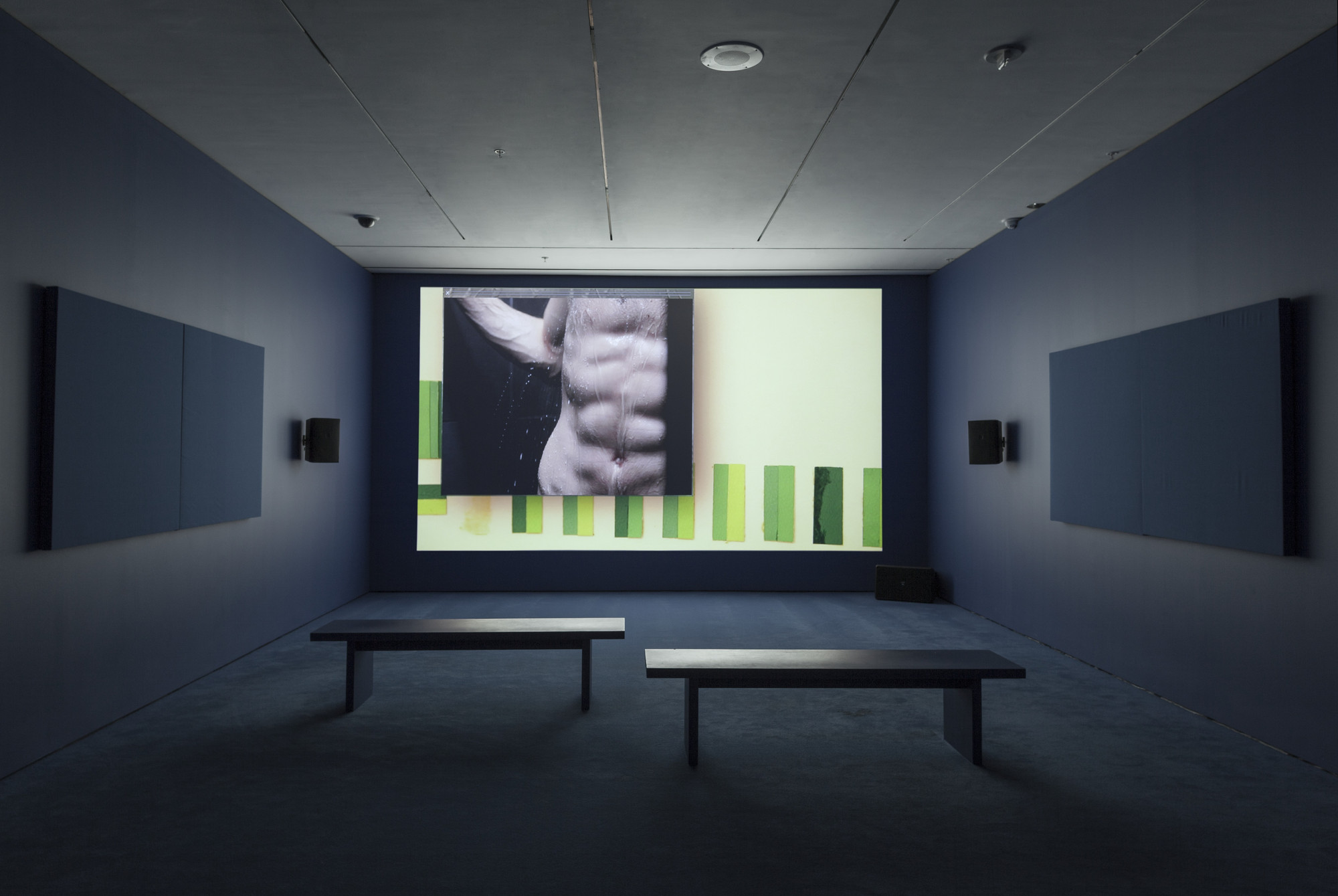 Installation view of the exhibition "Scenes for a New Heritage ...