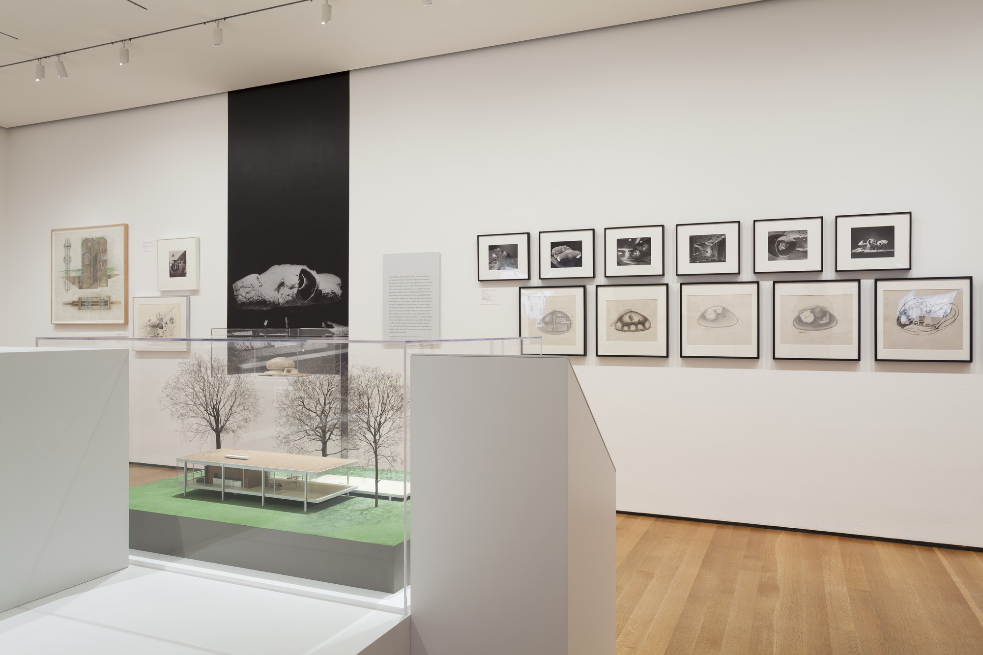 Installation view of the exhibition "Endless House: Intersections of ...