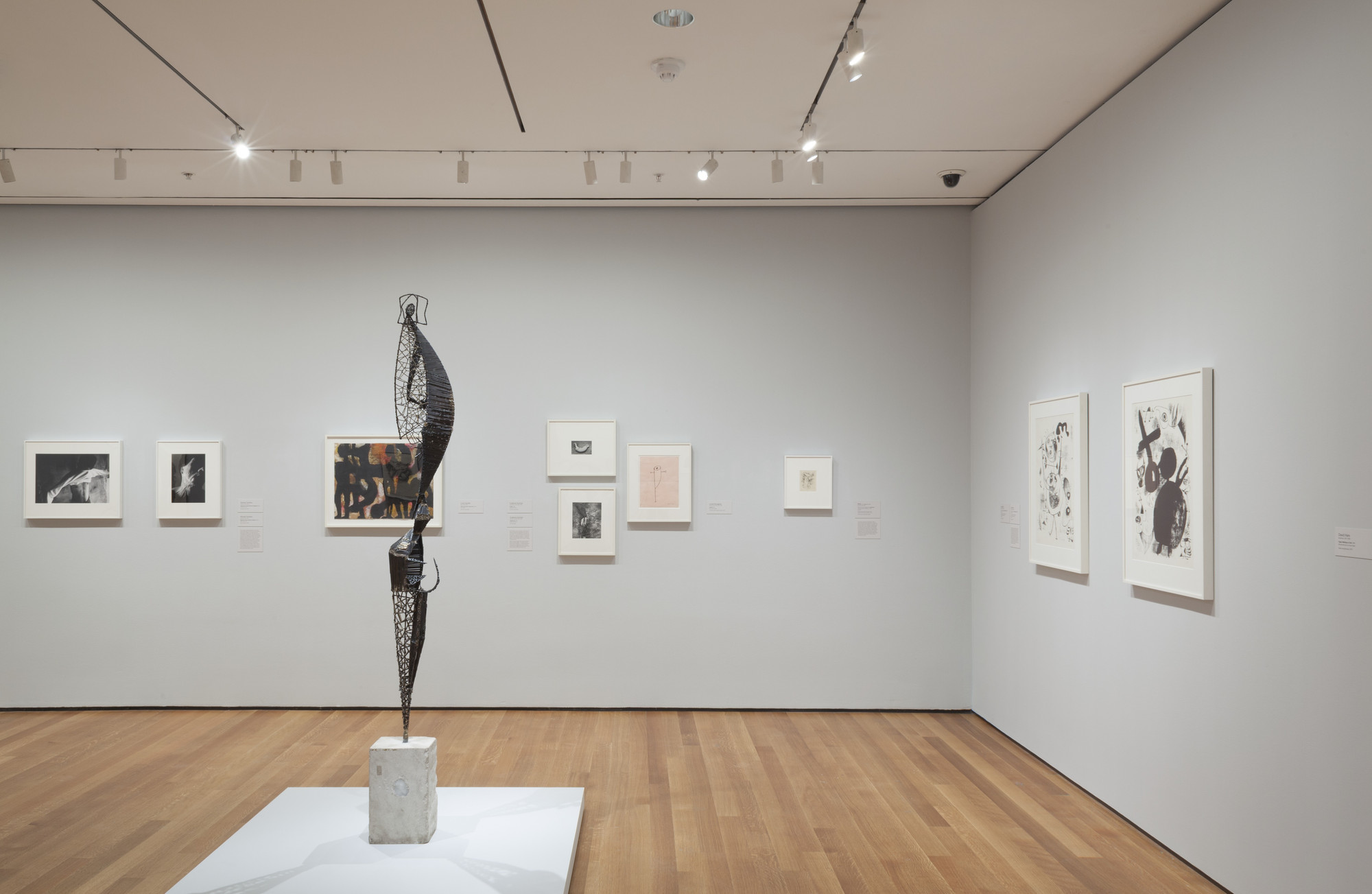 Installation view of the exhibition "Soldier, Spectre, Shaman: The ...