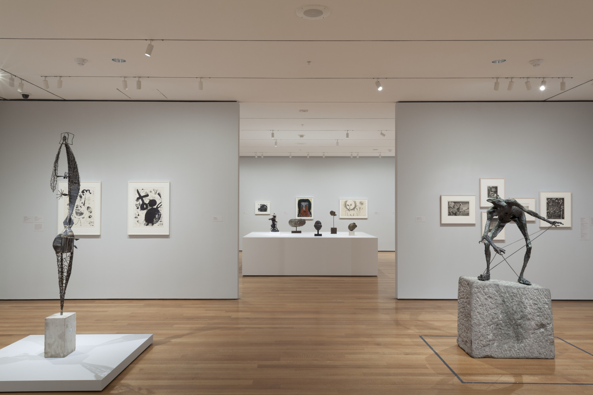 Installation view of the exhibition "Soldier, Spectre, Shaman: The ...