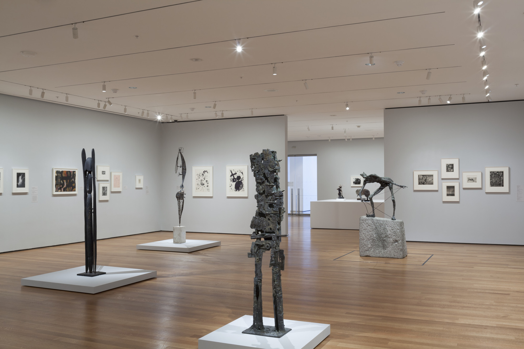 Installation view of the exhibition "Soldier, Spectre, Shaman: The ...