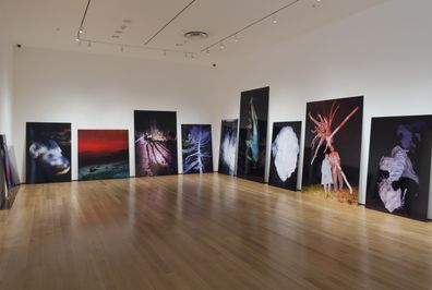 Lieko Shiga. Rasen Kaigan 49. 2012 | MoMA