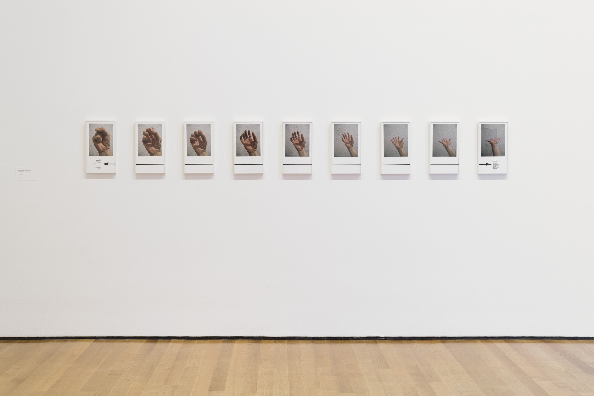 Installation view of the exhibition "Adrian Piper: A Synthesis of ...