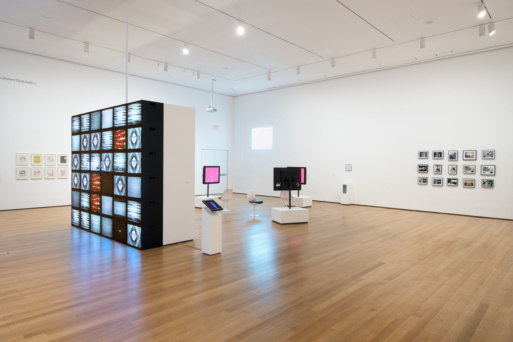 Installation view of the exhibition "Adrian Piper: A Synthesis of ...