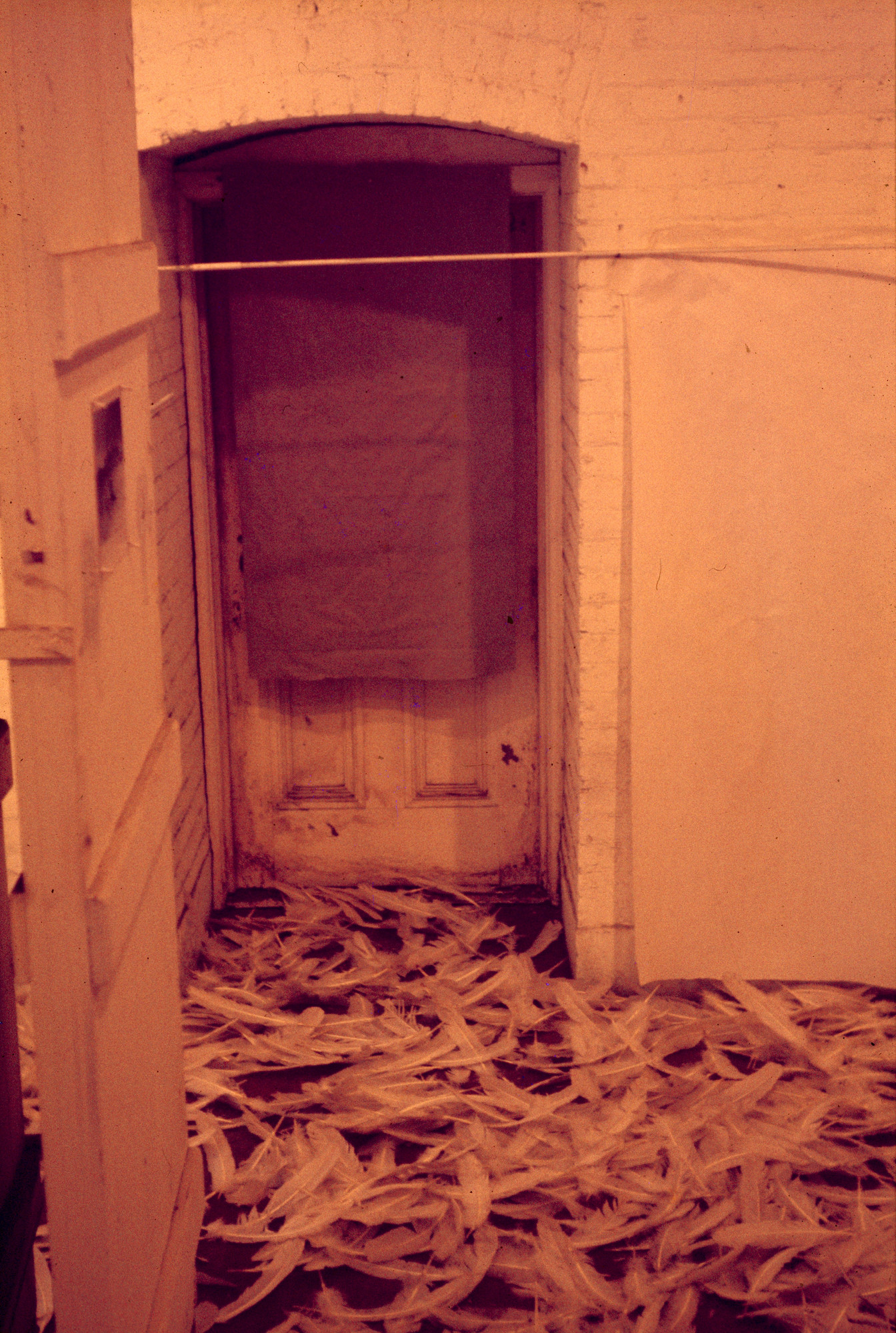 Installation view of "Eagle's Nest" by Richard Mock in the exhibition ...