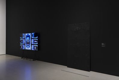 Tabor Robak. Xenix. 2013 | MoMA