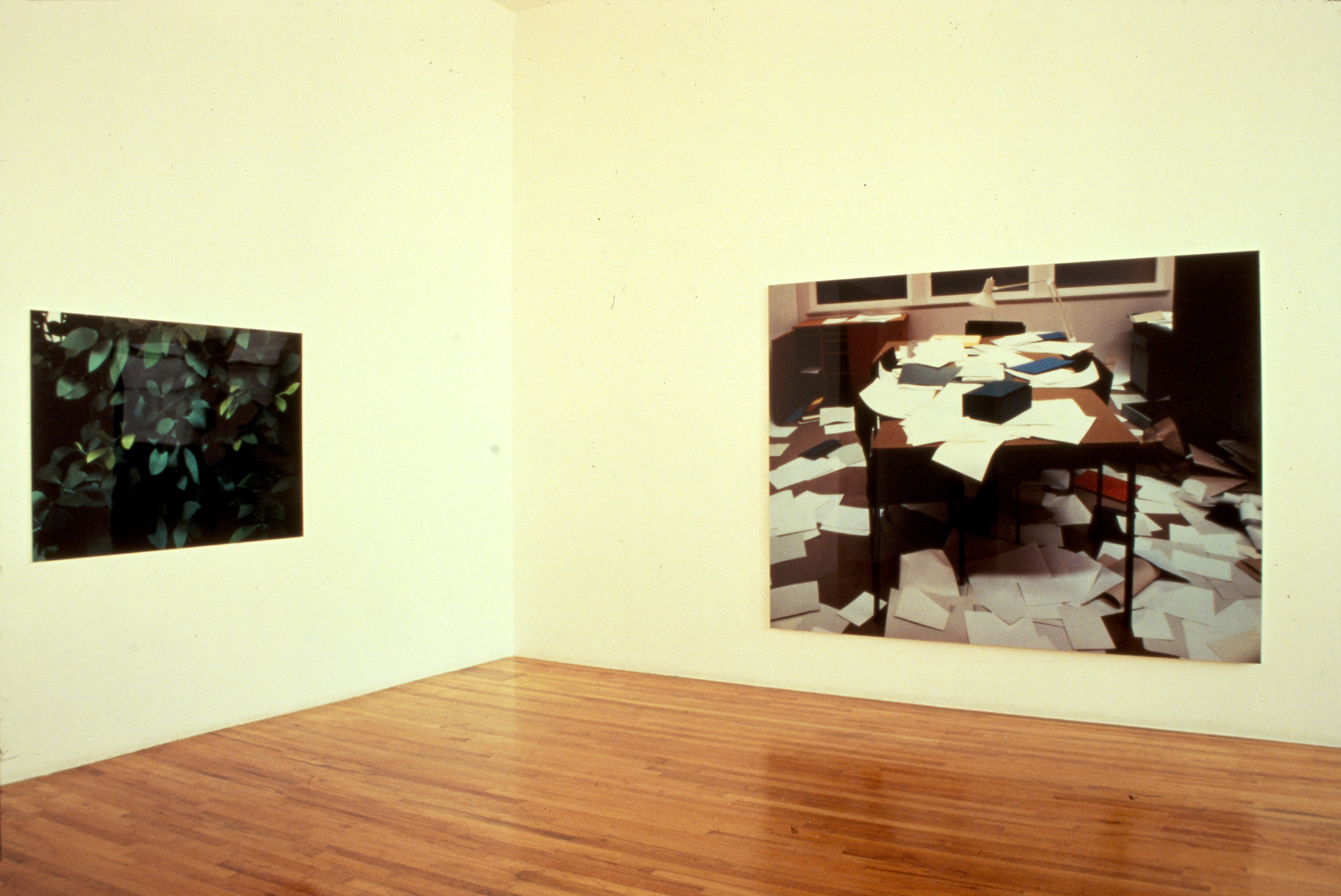Installation view of "Office" (1995) and "Hedge" (1996) by Thomas ...