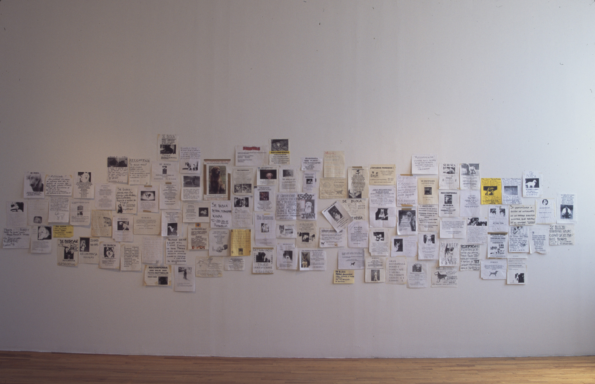 Installation view of "Seeking Reward / Se Busca Recompensa" by Jonathan ...