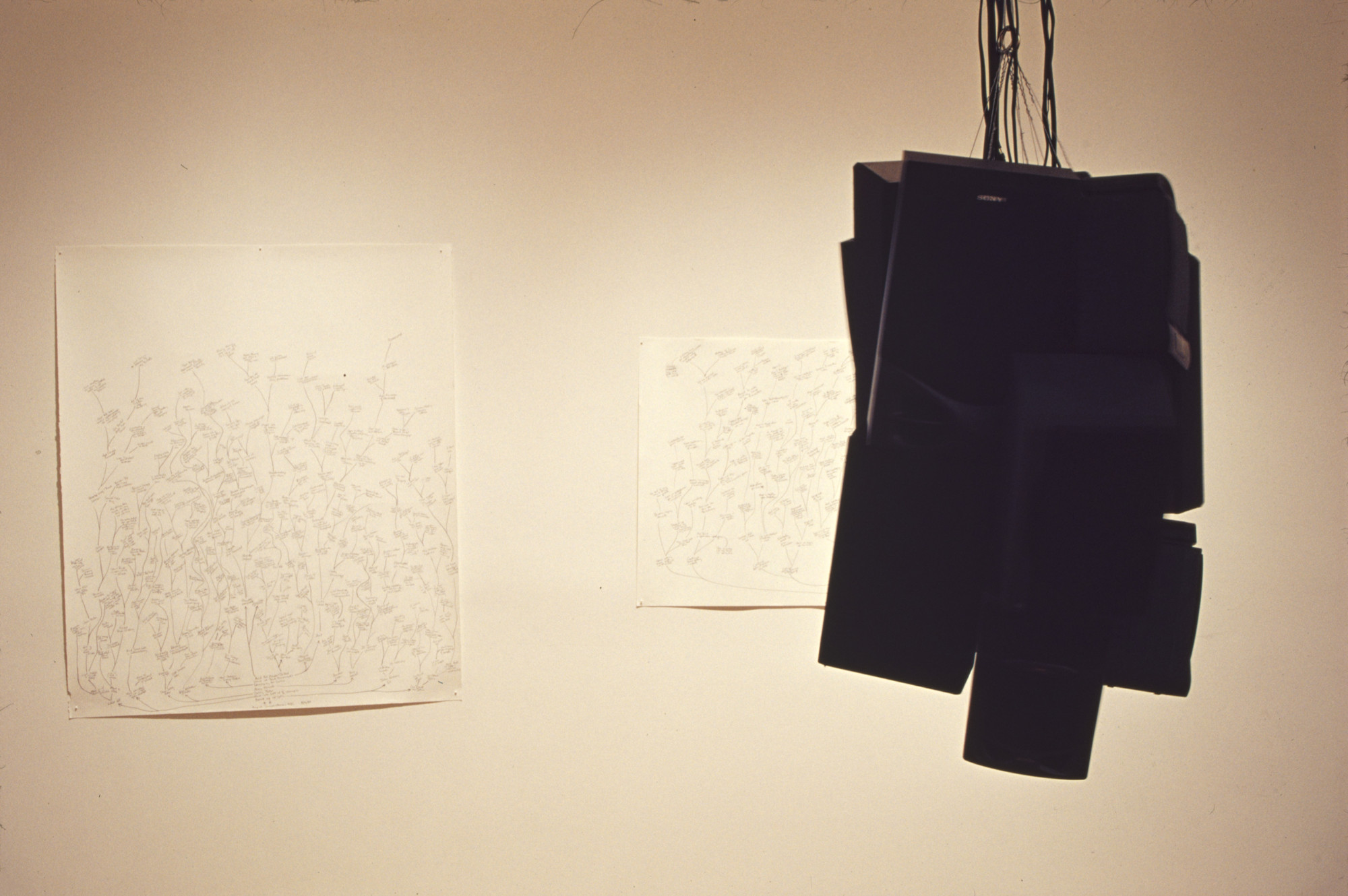 Installation view of "Delugology" by Elizabeth Campbell and "BCCI, ICIC ...