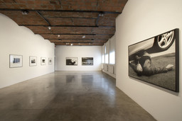 Sam Samore: The Suicidist | MoMA