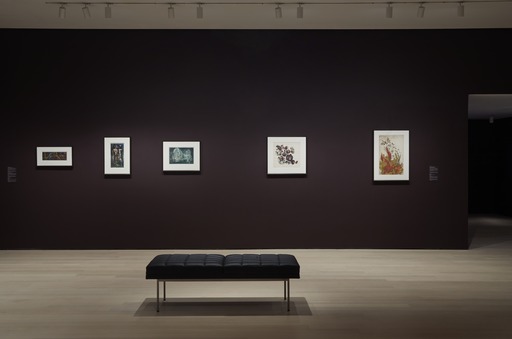 Betye Saar. The Wounded Wilderness. 1962 | MoMA